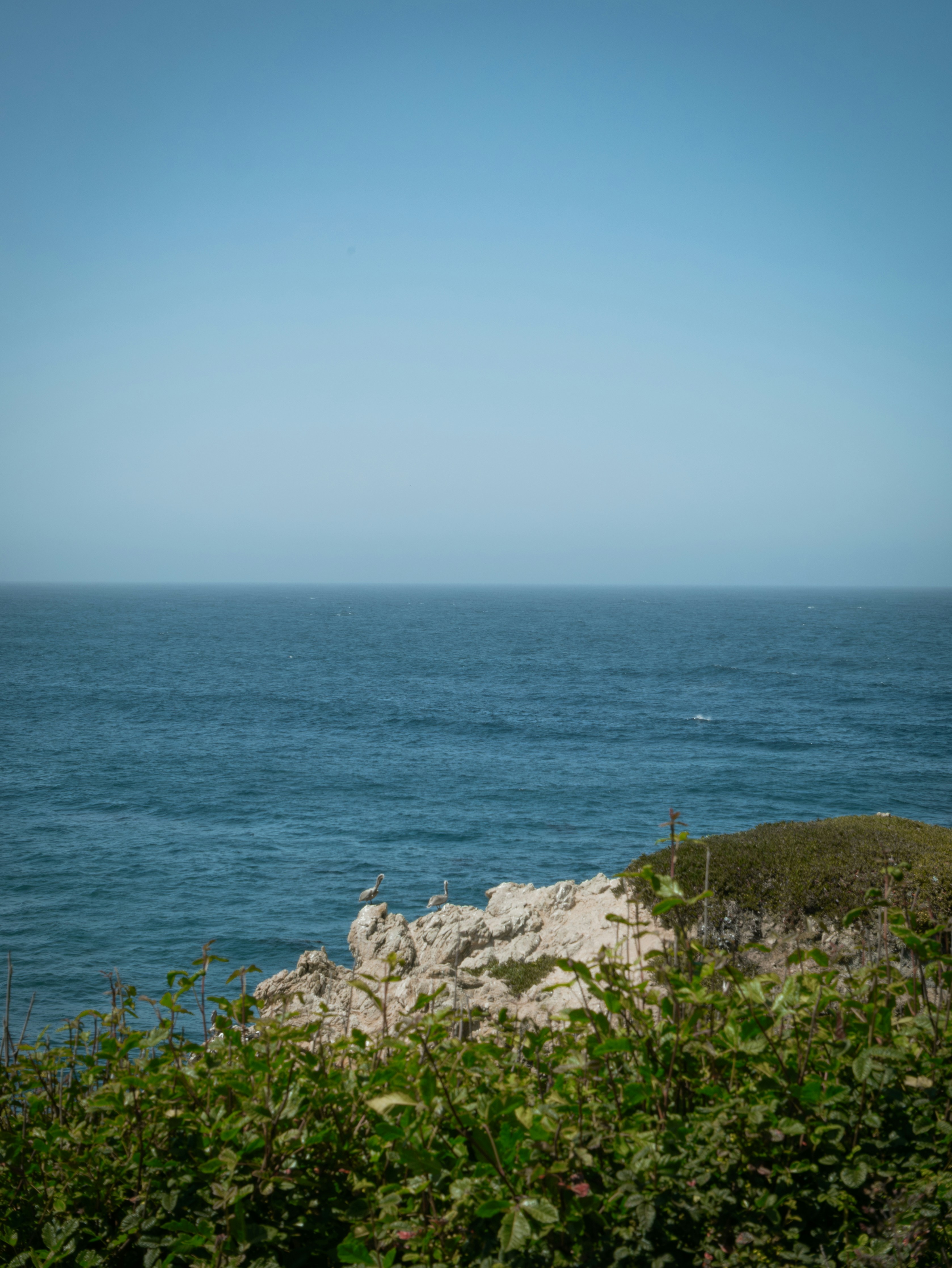 The ocean meets the bright blue sky.