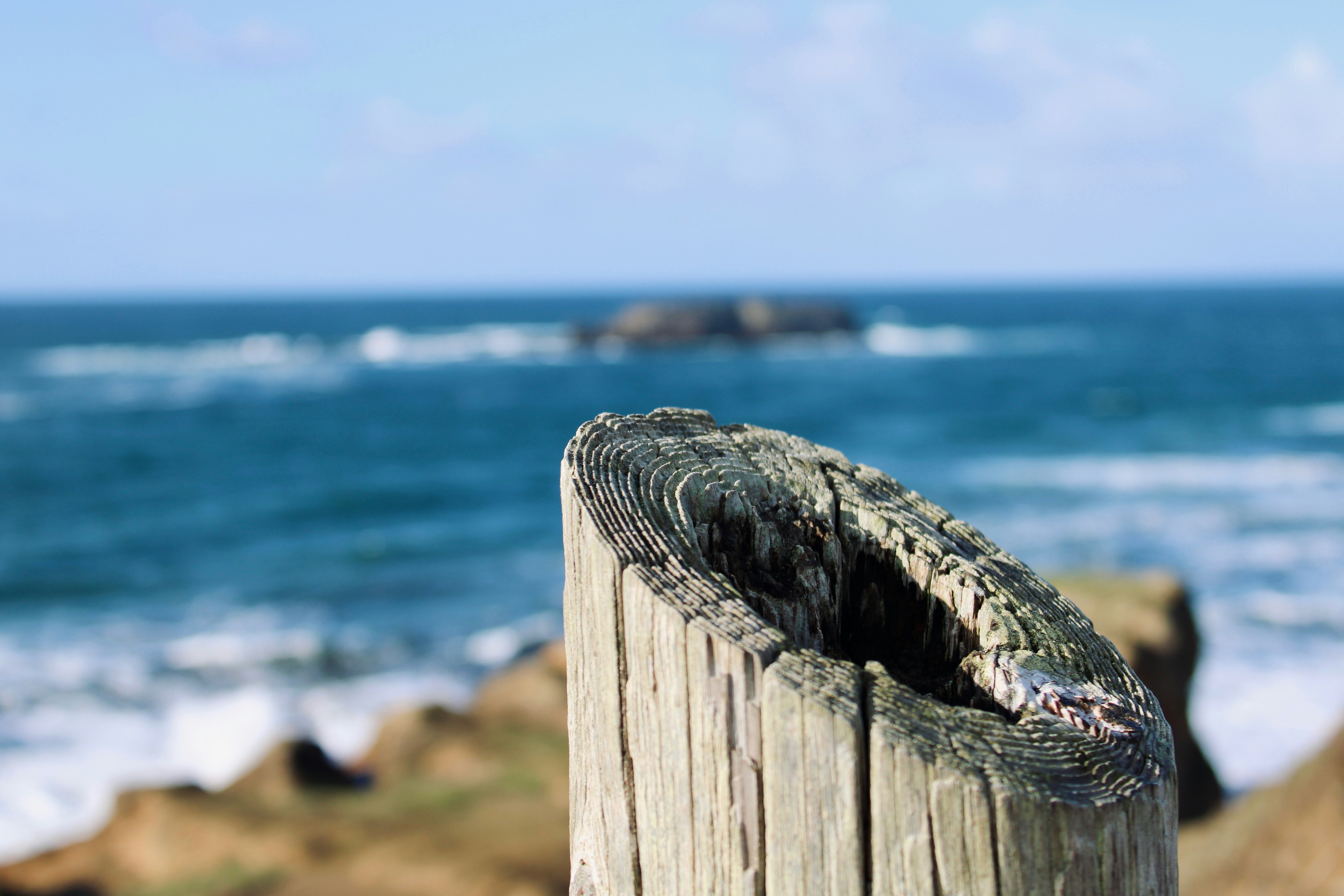 Weathered Sentinel by the Shore
