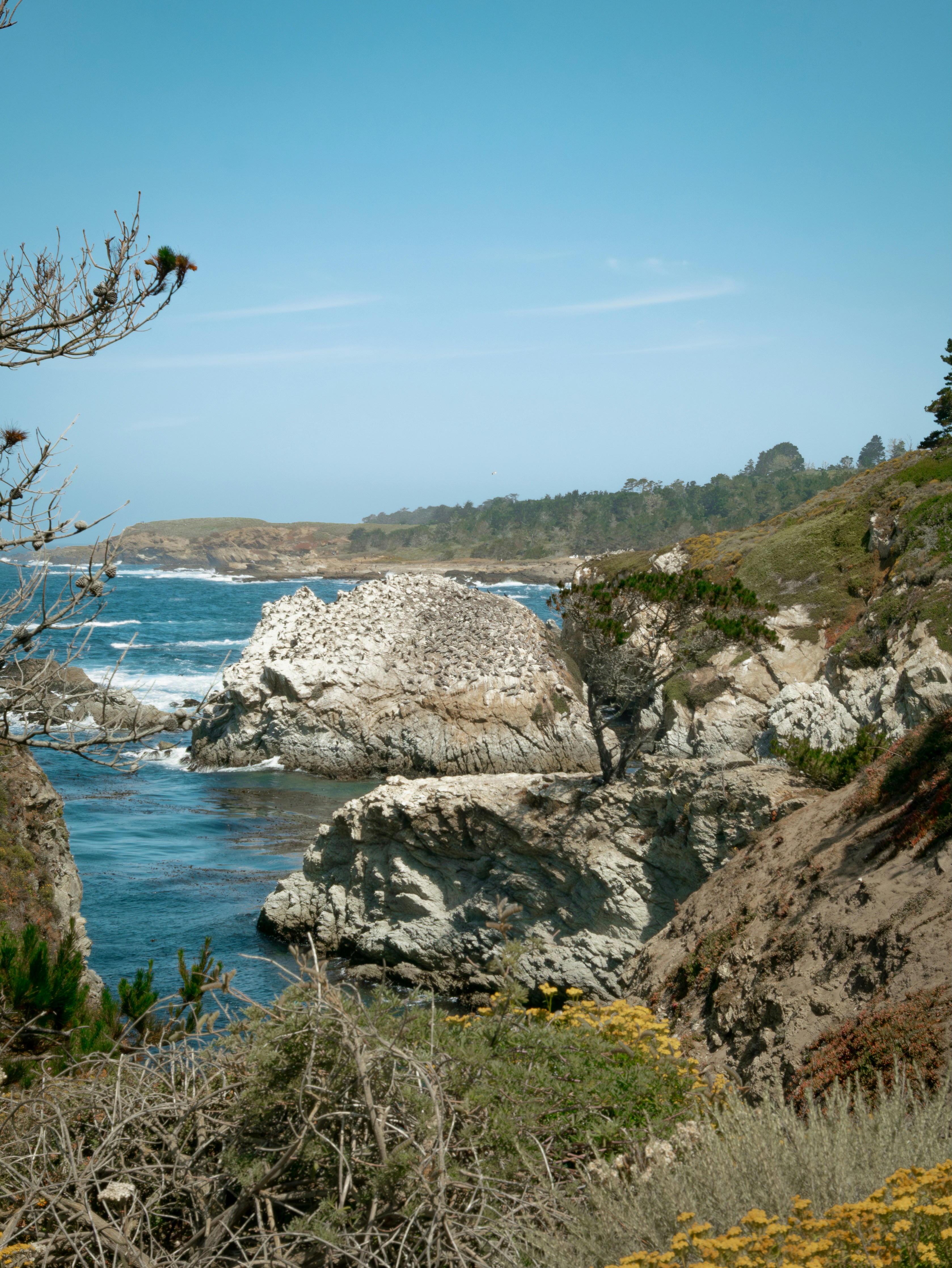 Rocky coastline with gentle waves lapping against the shore, framed by lush greenery and distant hills. A serene moment in nature.