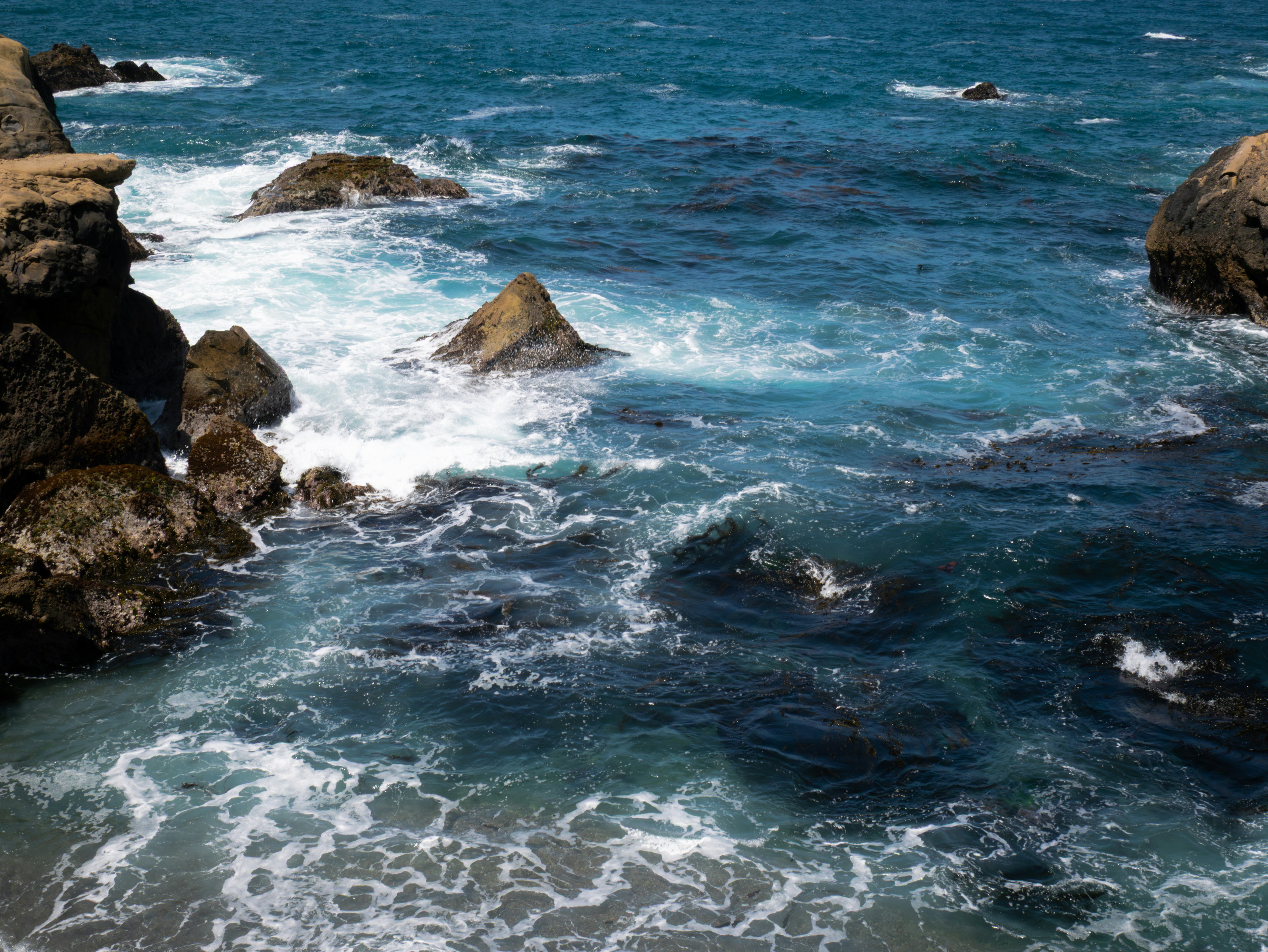 Photo by Macarena Ollarzú with Panasonic Lumix GM1