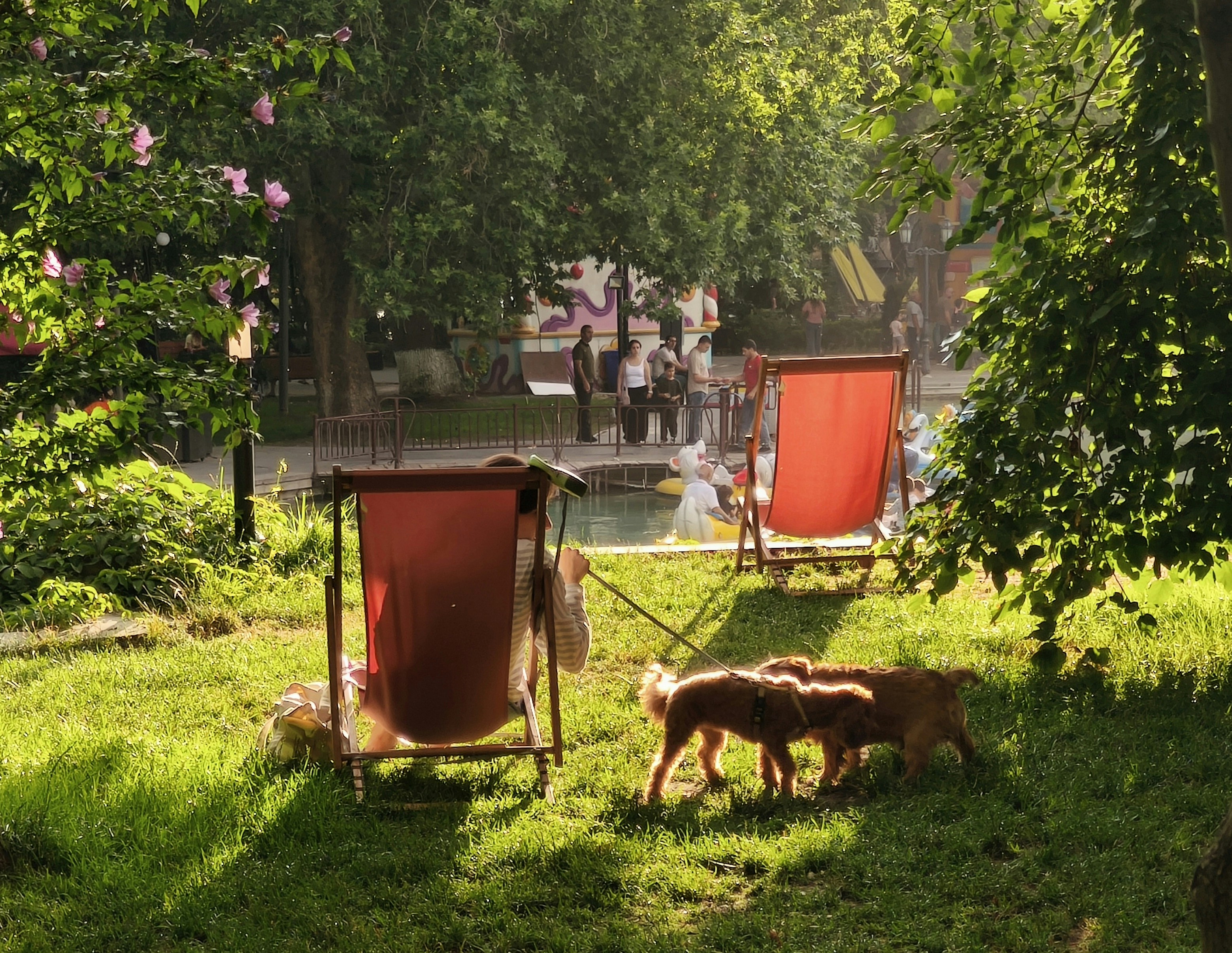 Photo by Ester Avanesyan with Xiaomi 14T