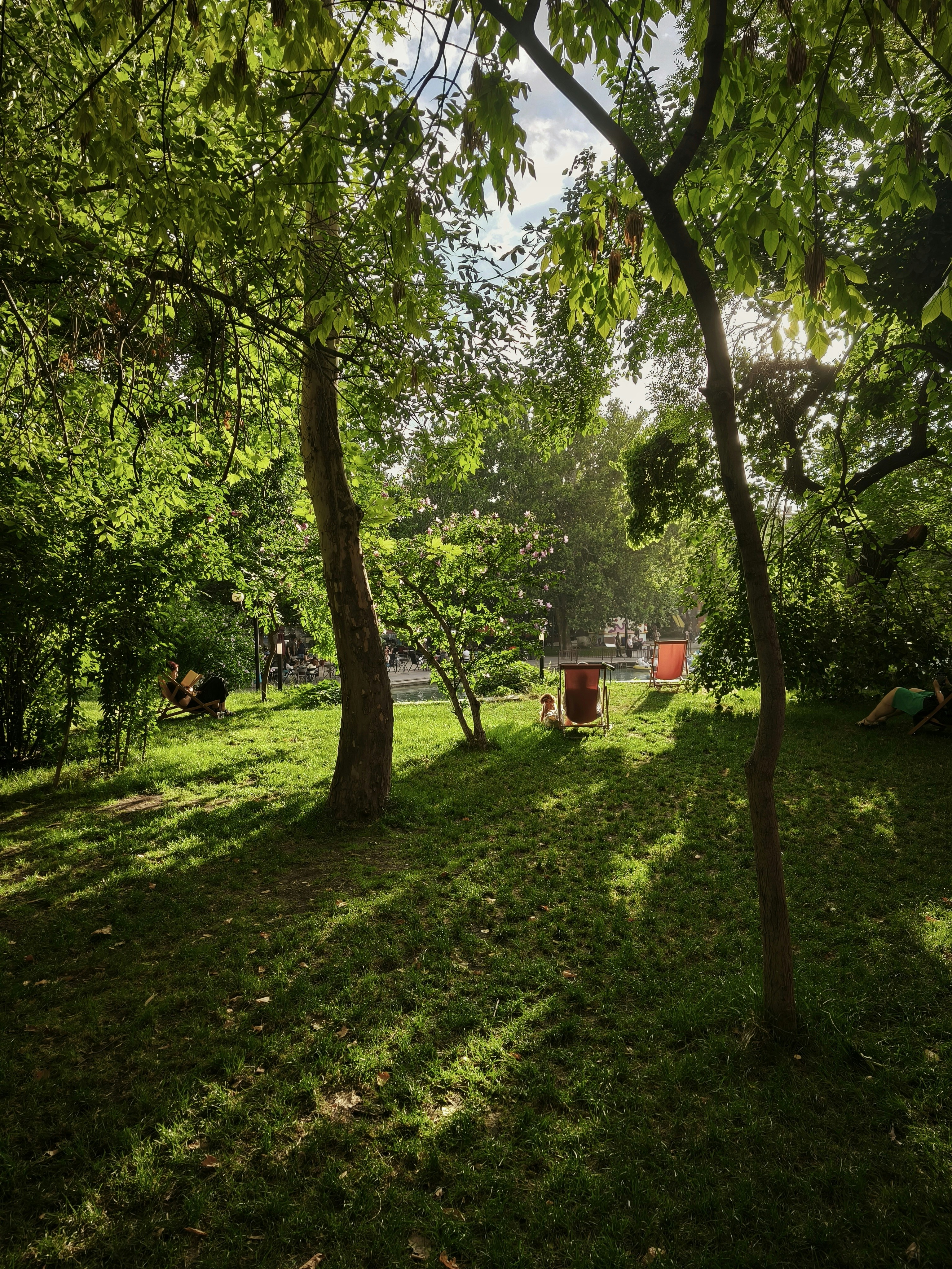 Shady park with trees and sunlight.