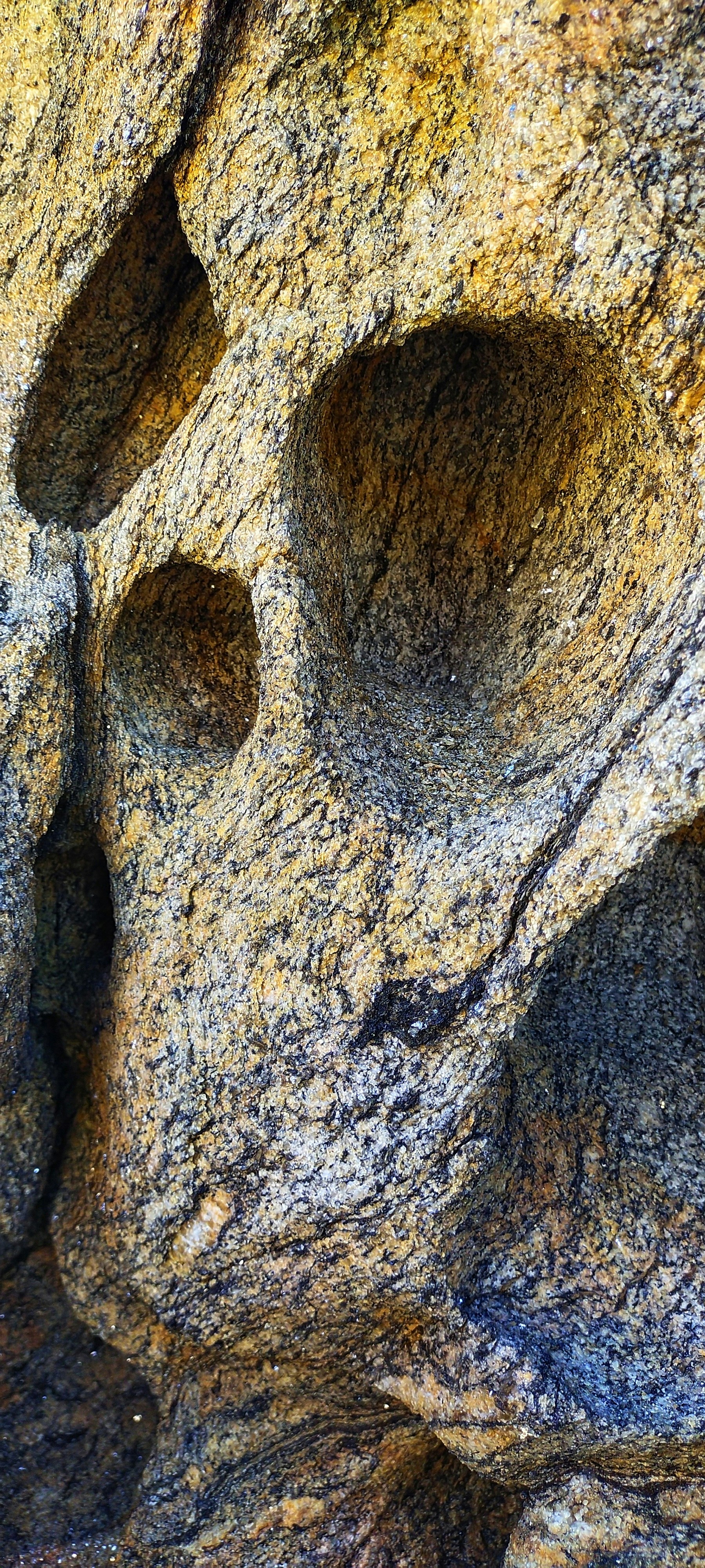 Eroded rock formation with holes.