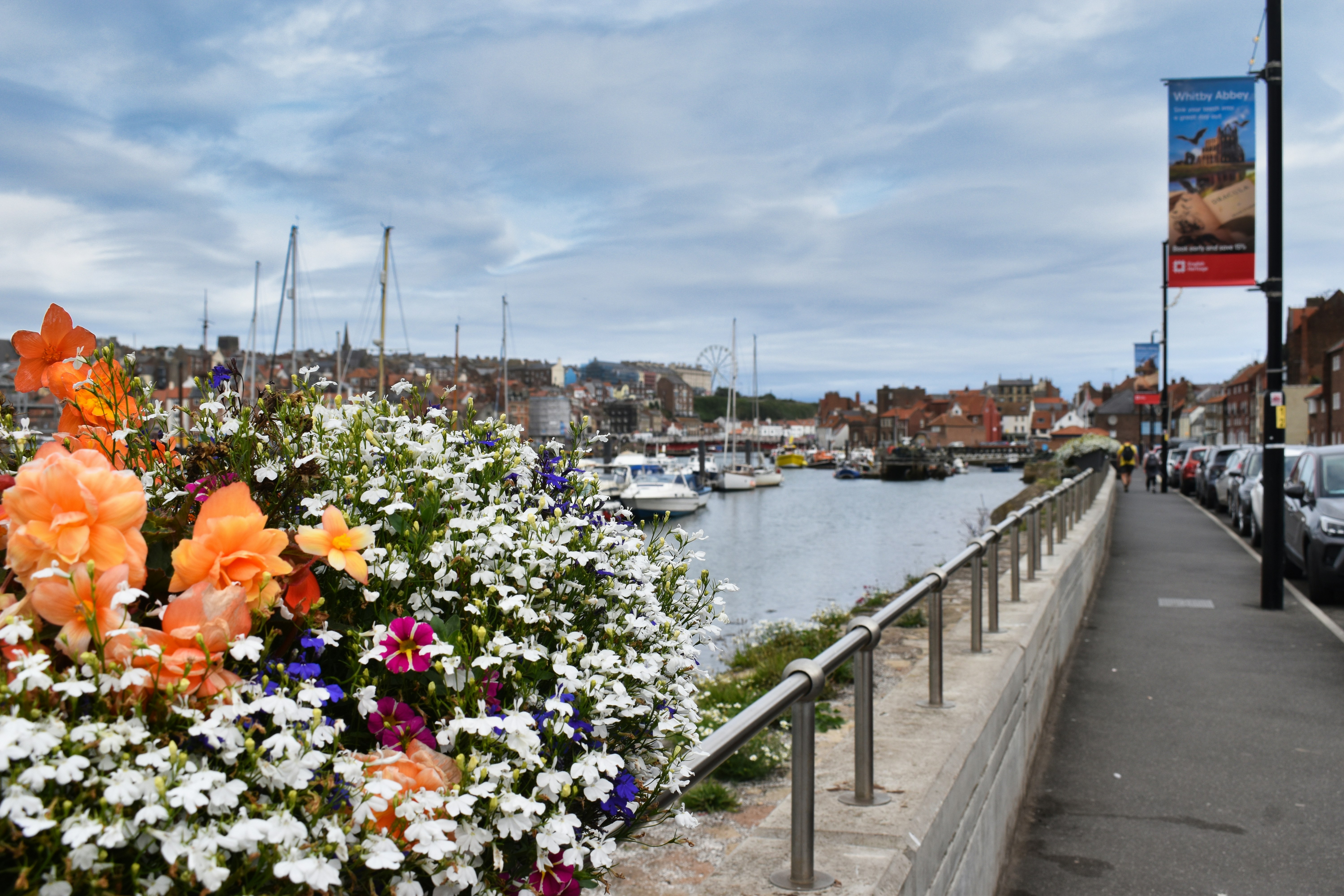 Petals by the Pier: Colorful Foreground Framing a Quiet Harbour
