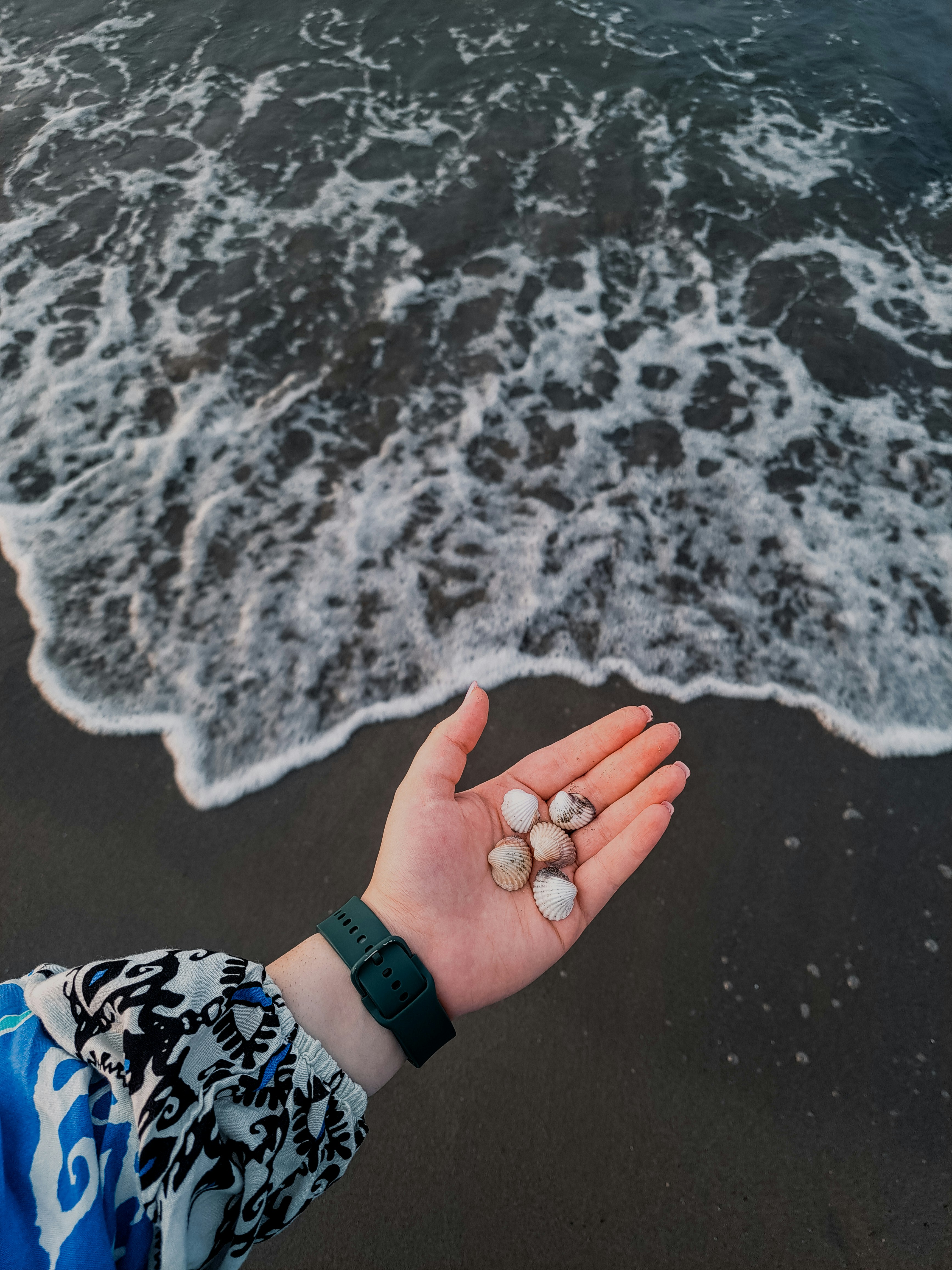 🫳🌊🐚 | Handful of seashells by the ocean waves.