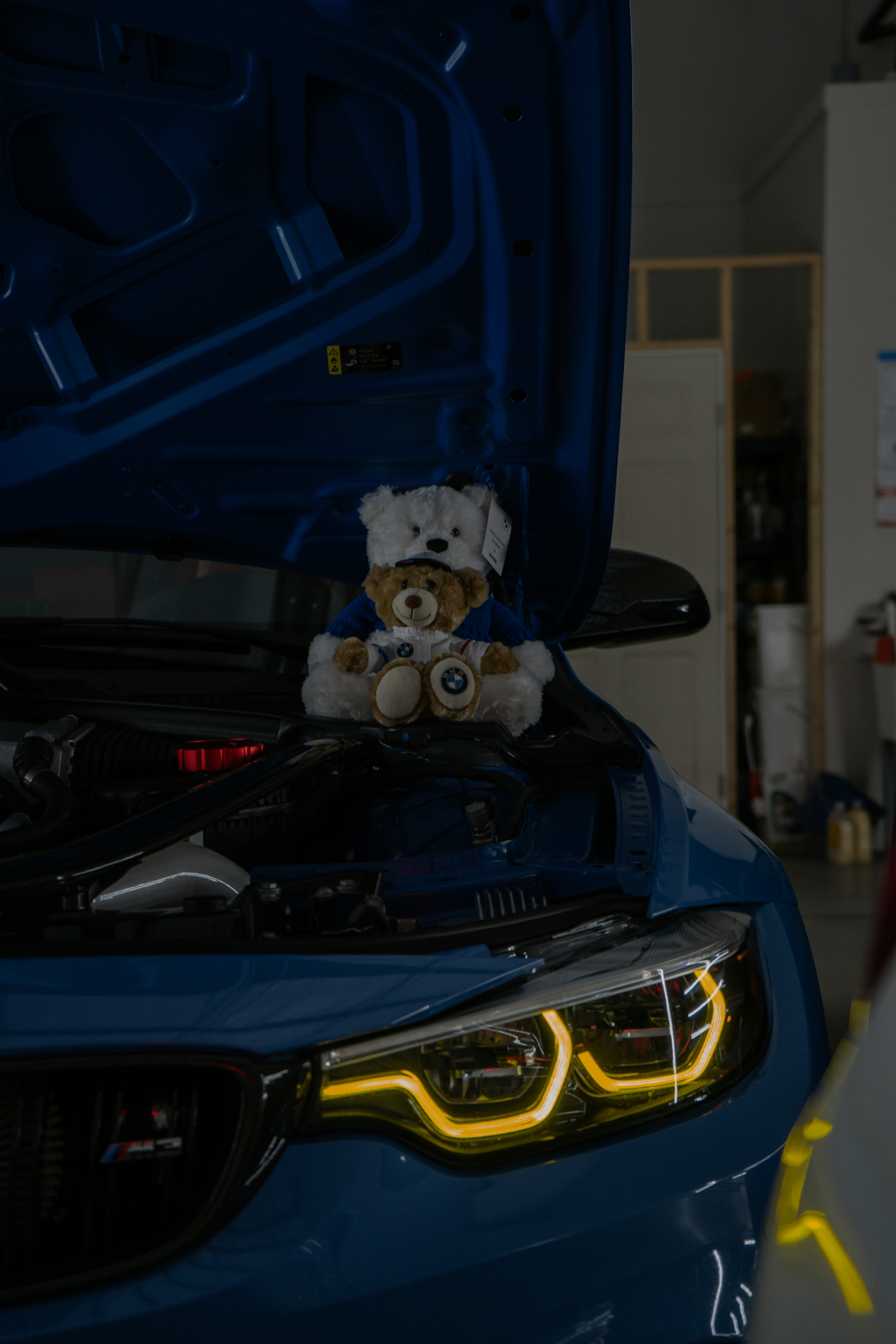 A BMW teddy bear sits atop the engine of a blue car, with the hood raised and headlights glowing. The scene combines automotive passion with a touch of whimsy.