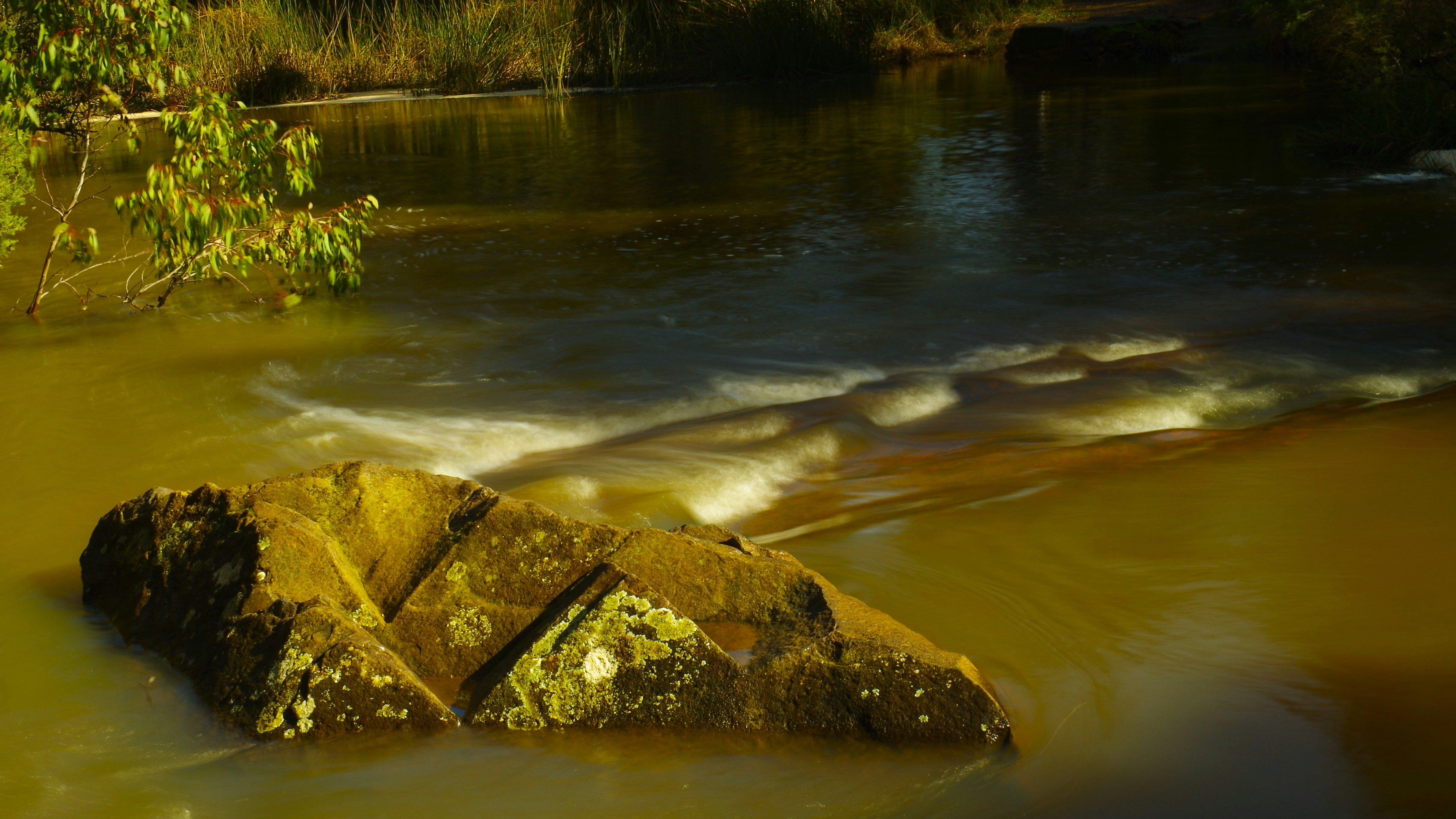 Whispers of the Flowing Stream