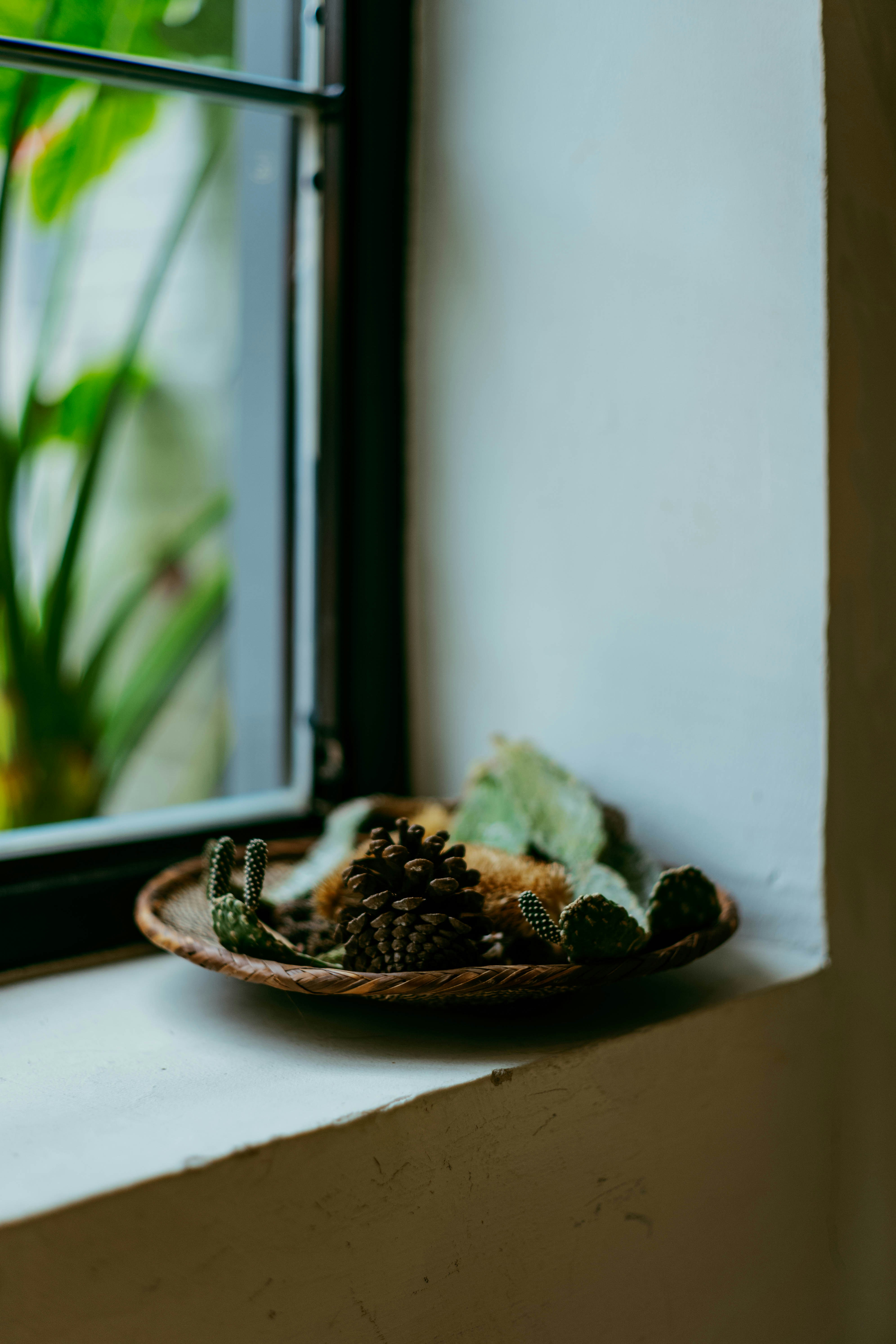 Nature's Tranquil Corner