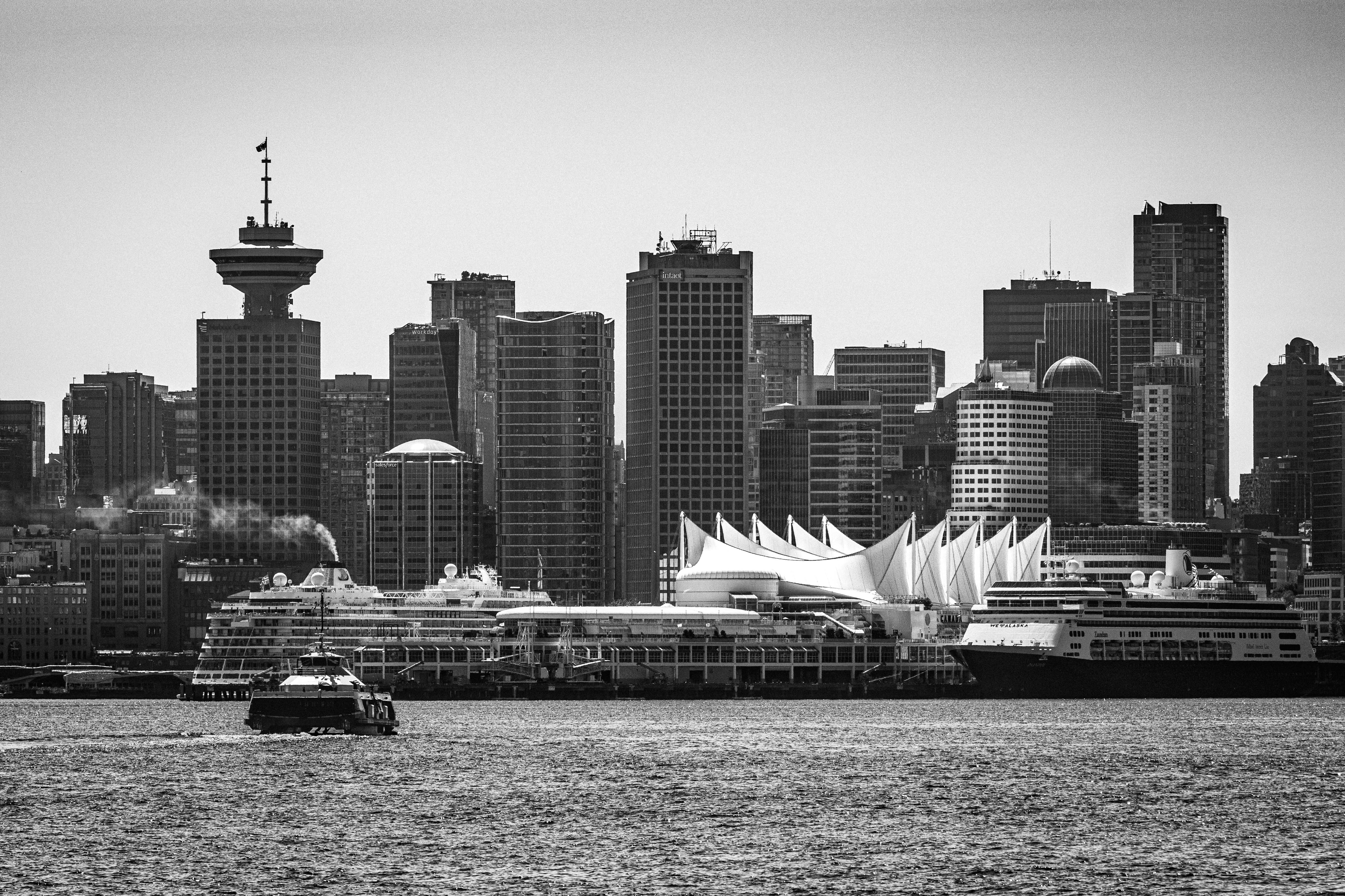 Urban Harmony: The City Meets the Sea