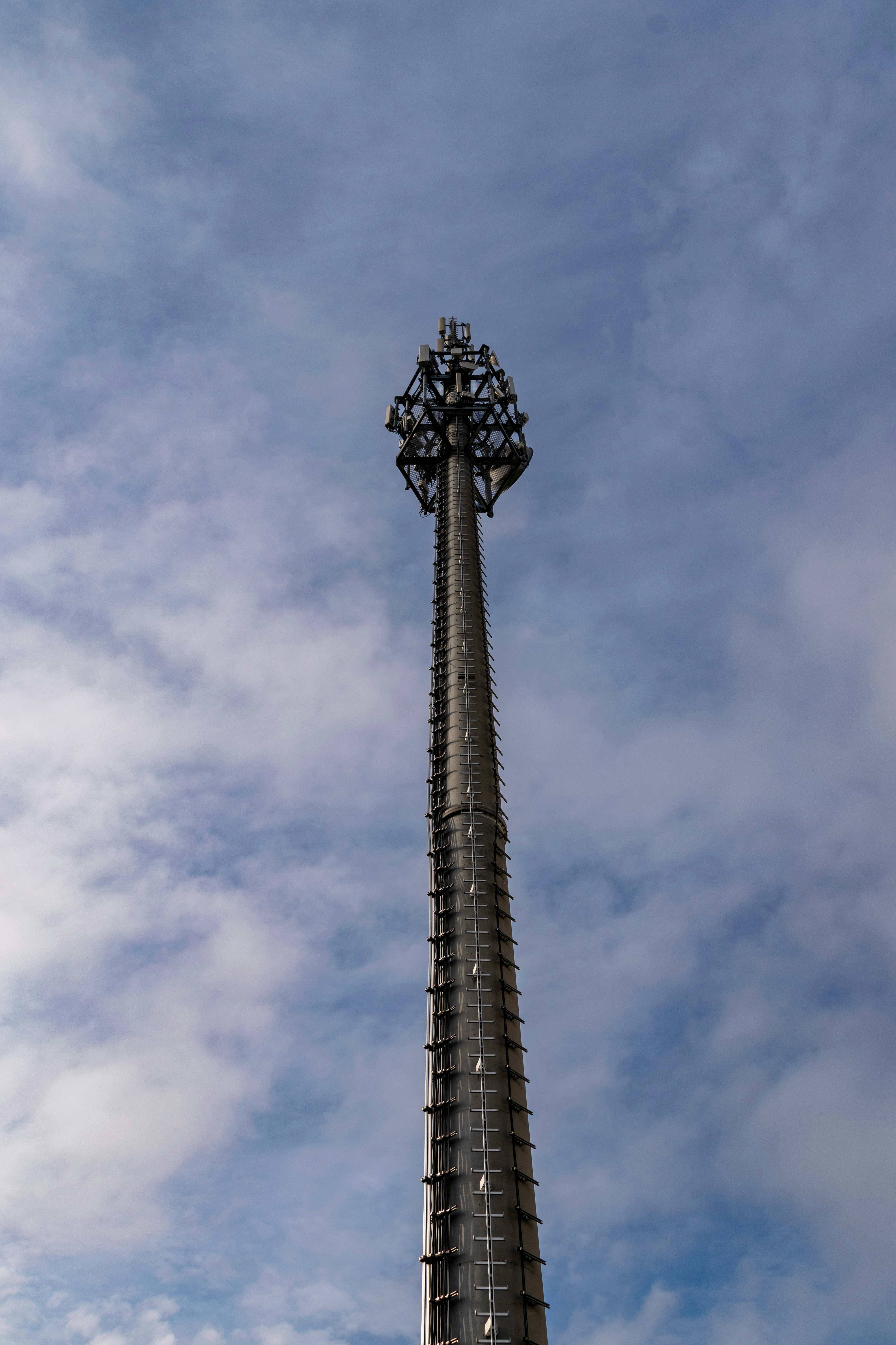 Reaching for the Skies: The Towering Sentinel