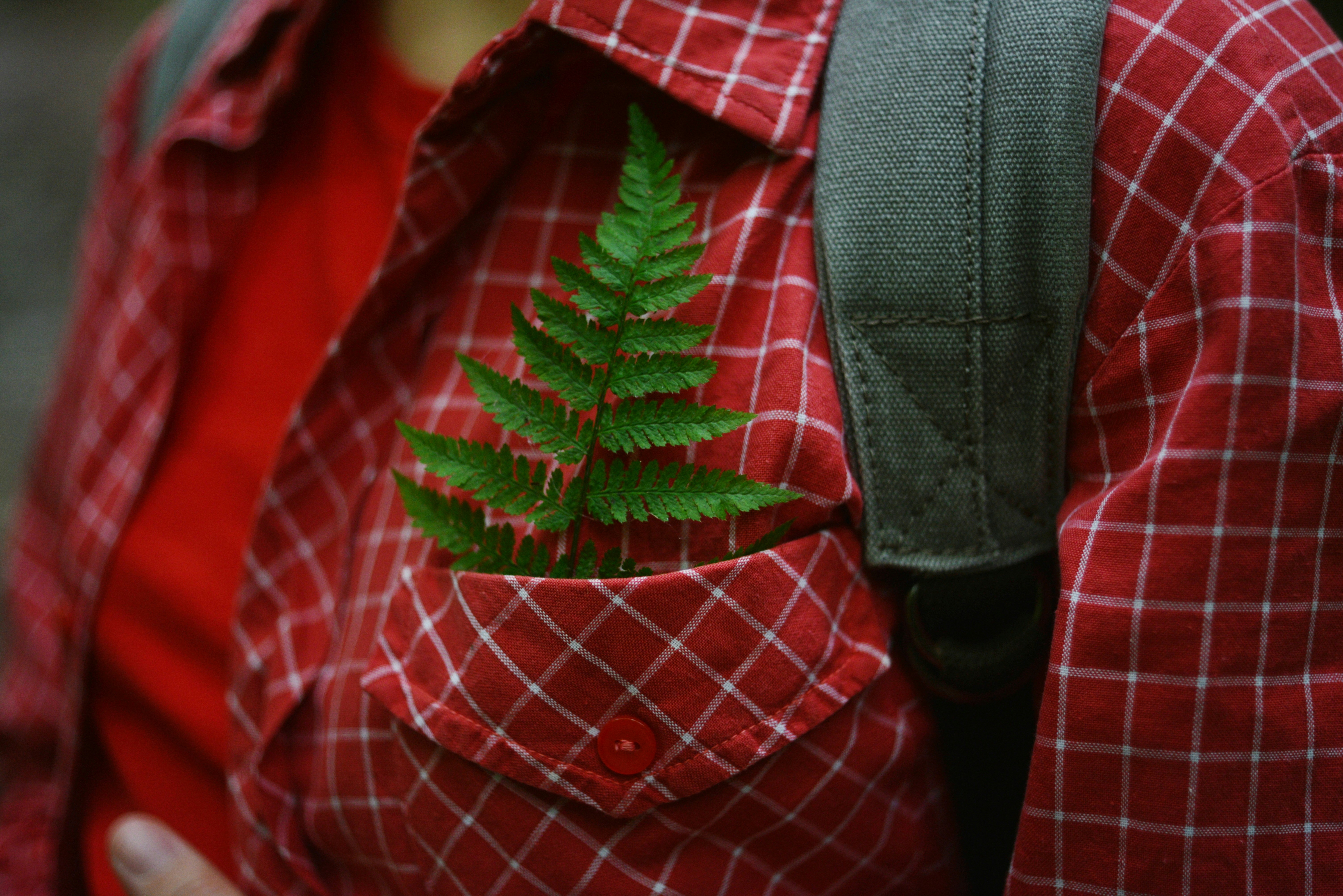 Nature's Embrace: A Pocket of Green