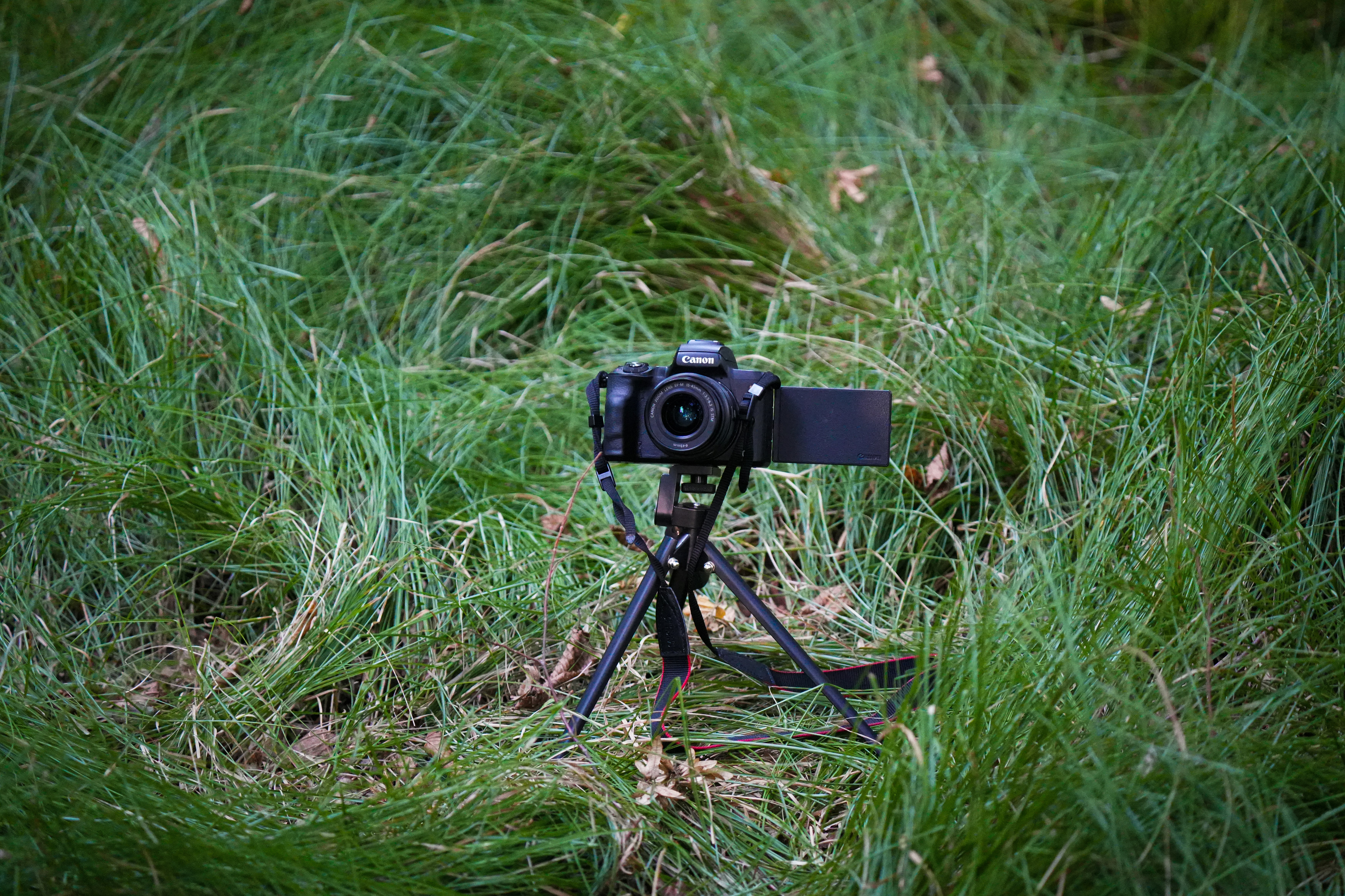 A camera is set up in the grass.