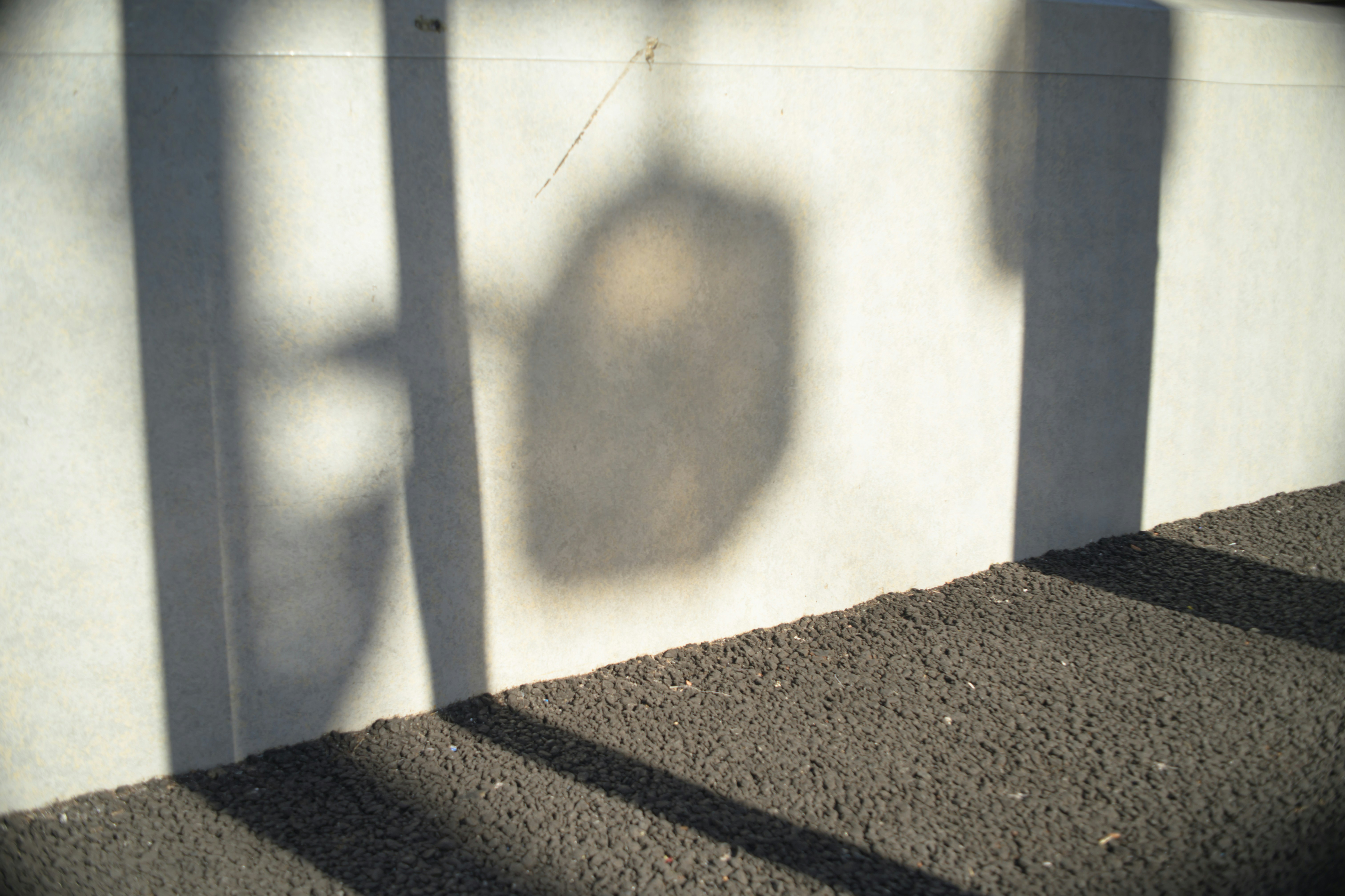 Shadows fall on a wall and pavement.