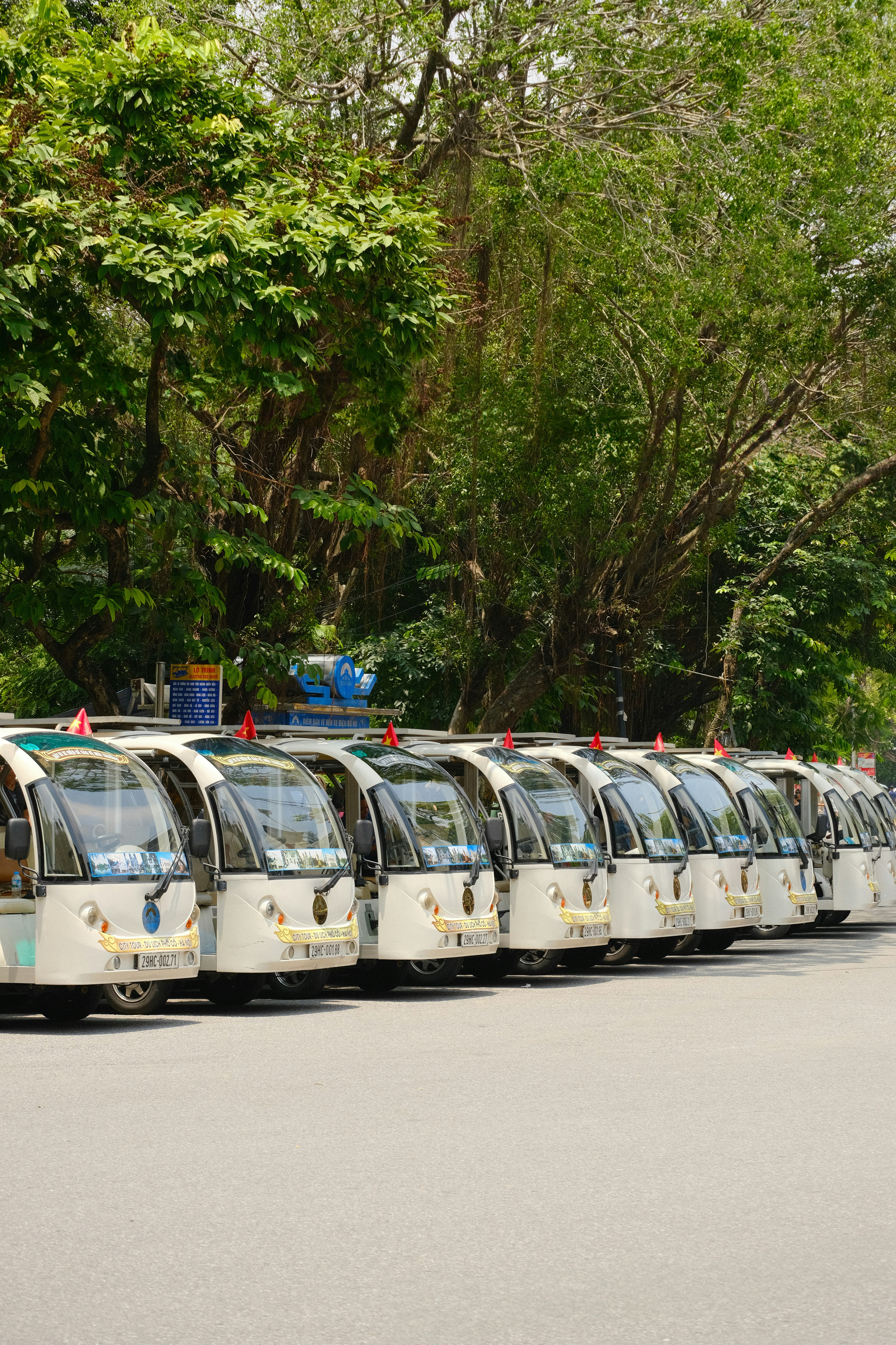 A Line of Electric Chariots: Modern Transport Amidst Nature