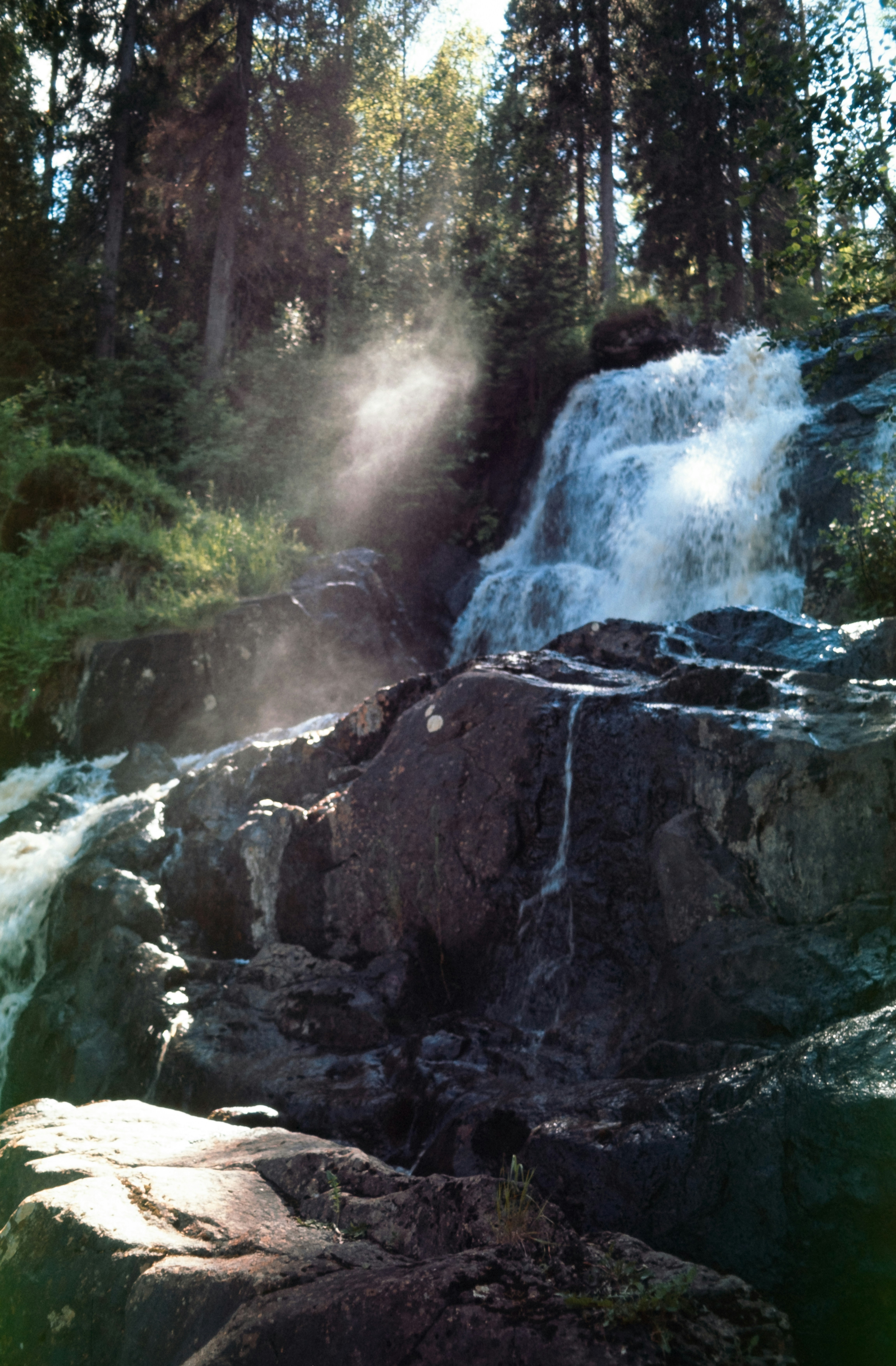 Whispers of the Cascading Waters