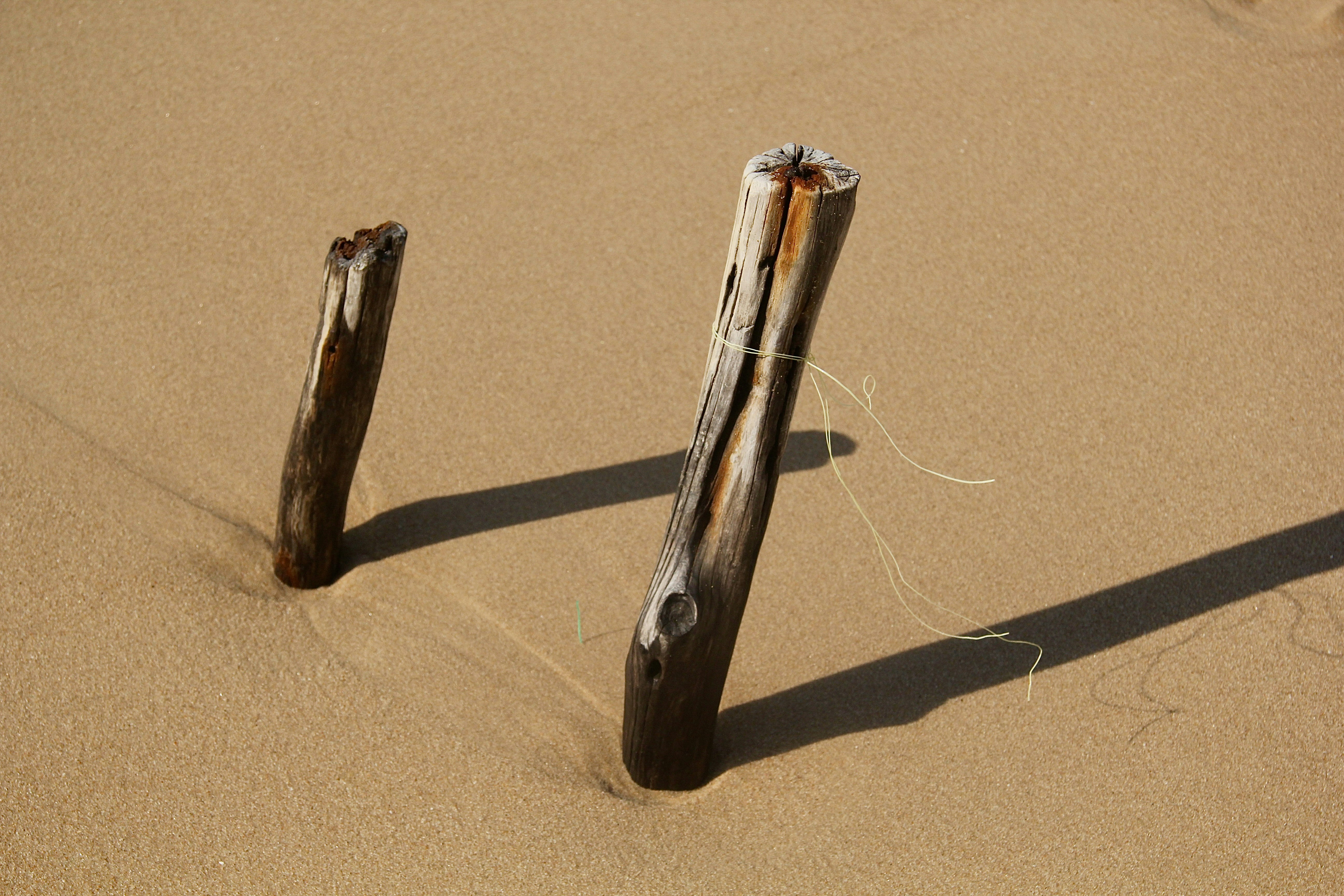 Sticks cast long shadows on sand.