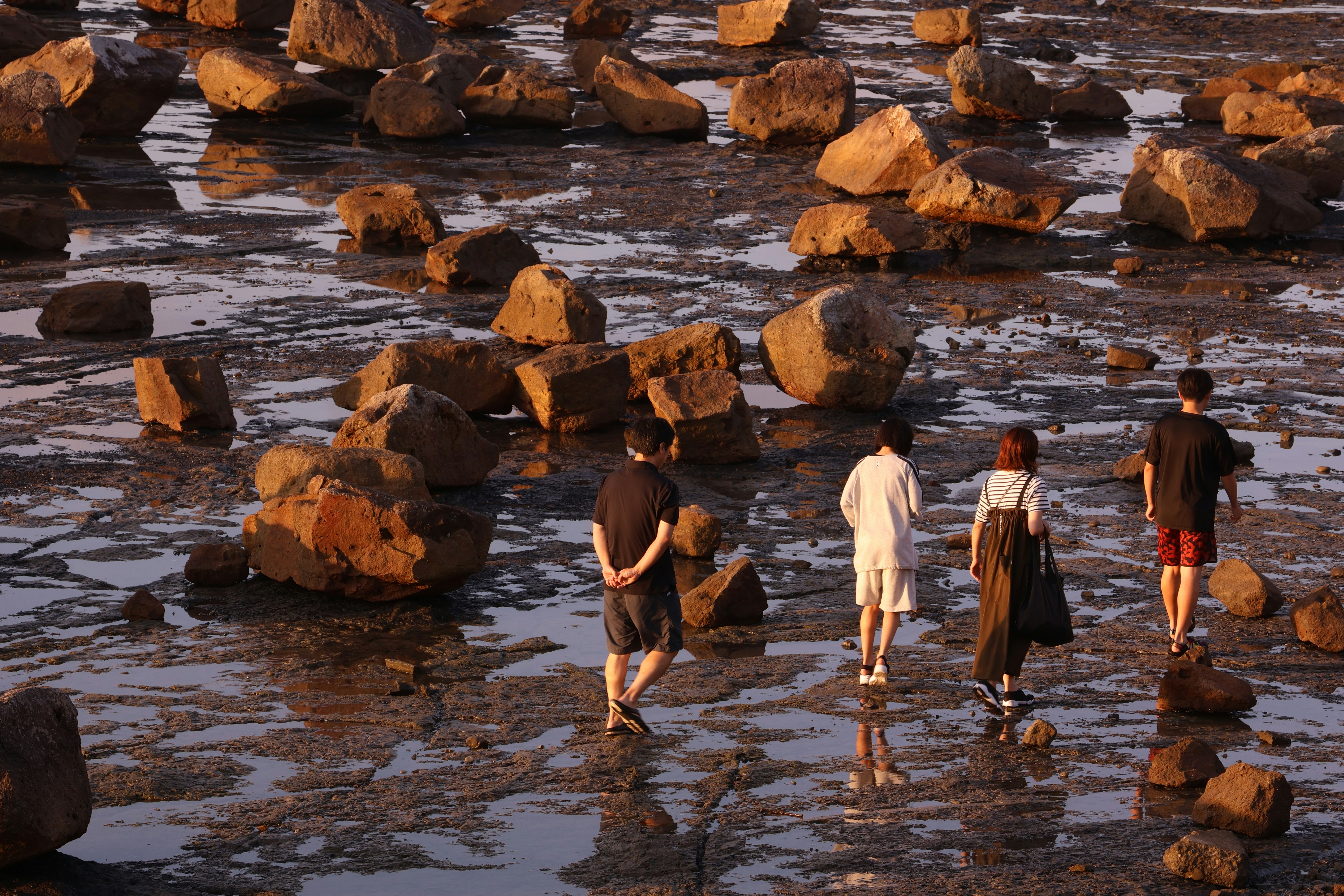 Four individuals walking across a rocky tidal flat during golden hour, reflecting the warm hues of sunset. The scene captures a moment of exploration and connection with nature.