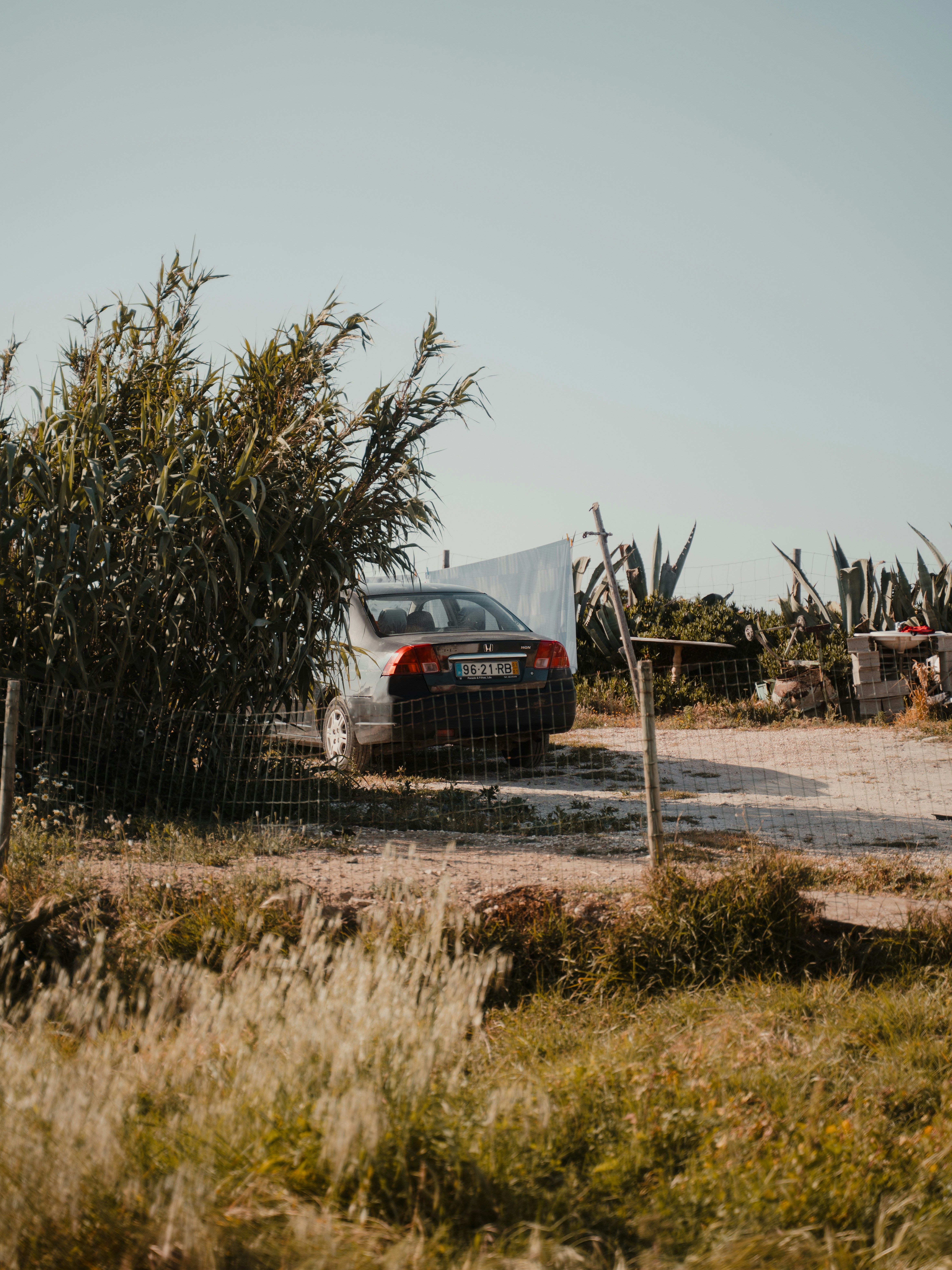 Hidden Driveway Scene: Car in a Sunlit Rural Lot