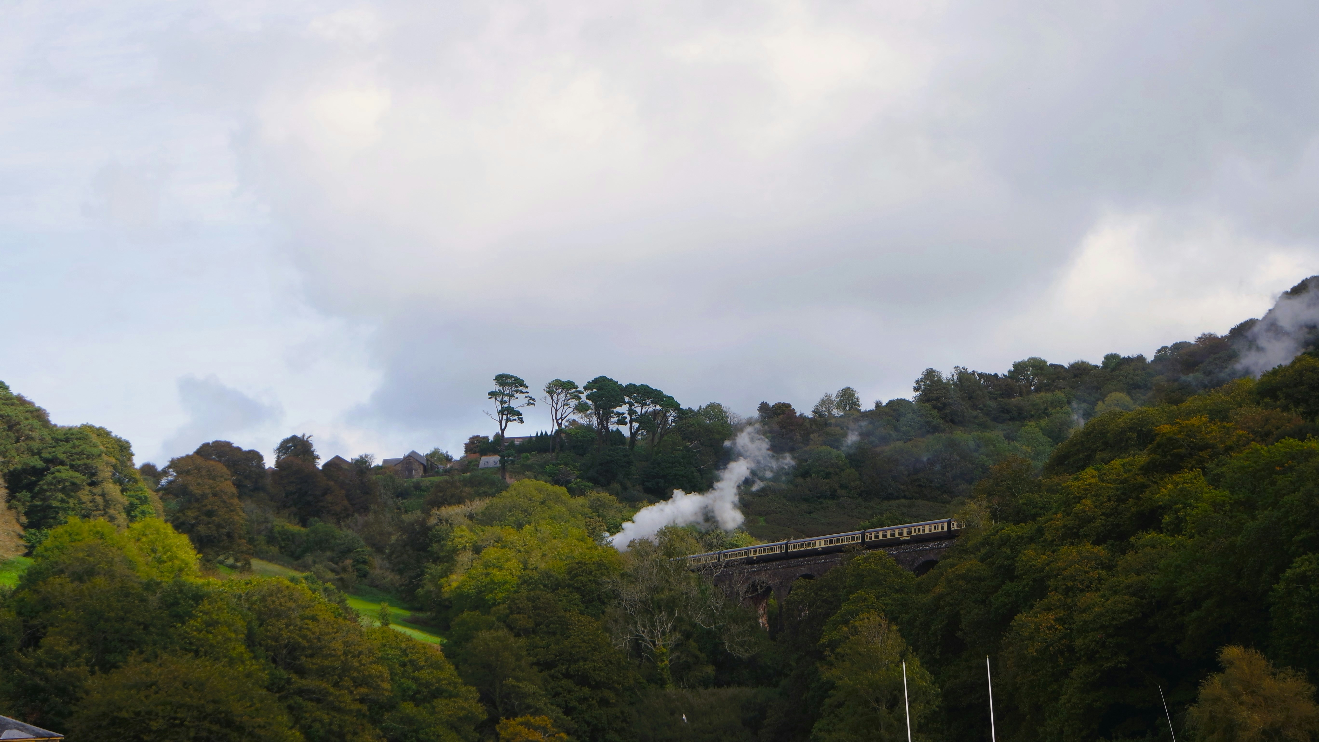 A steam train travels through a lush forest.