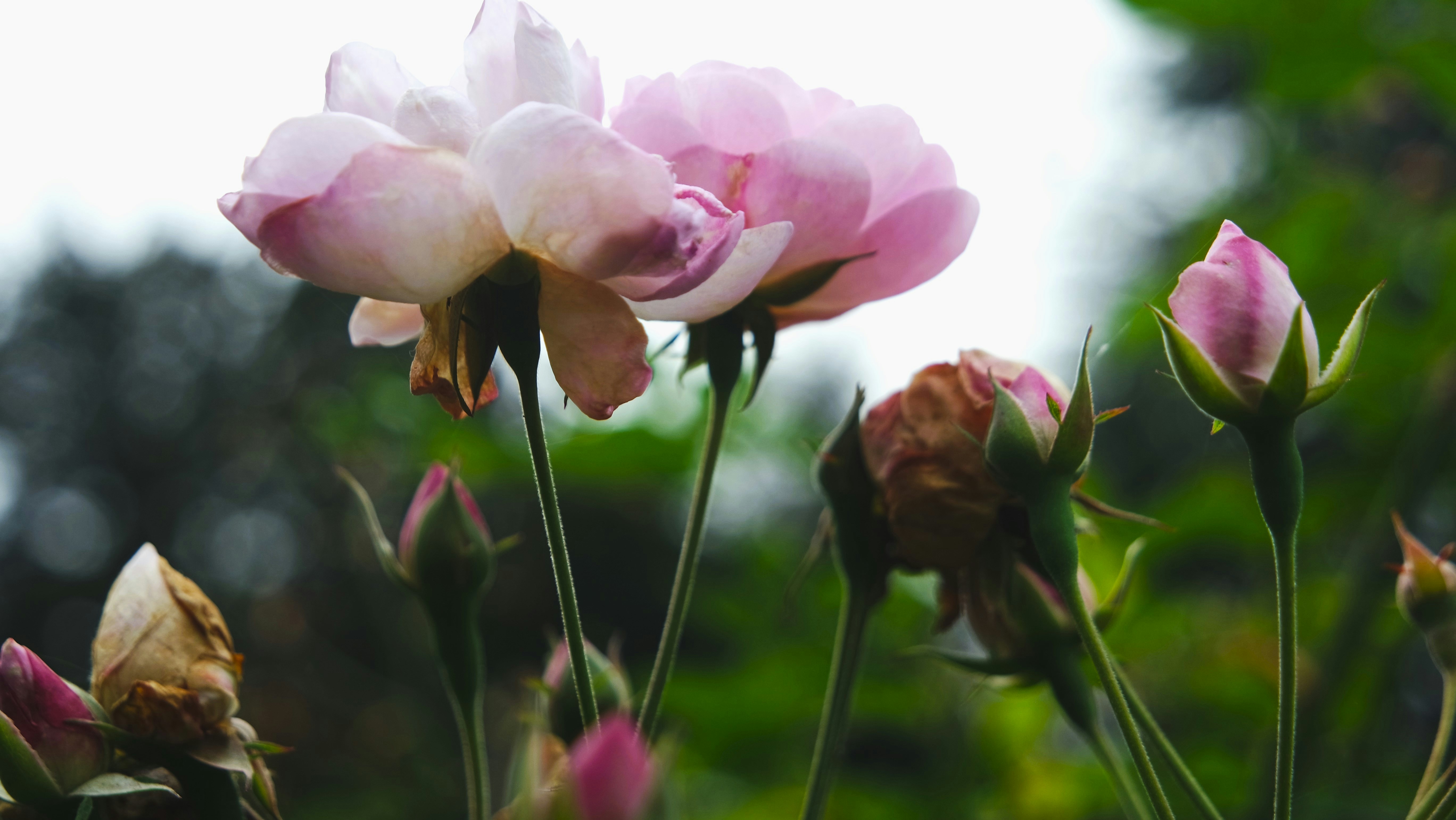 Photo by Amy W. with Samsung NX3000