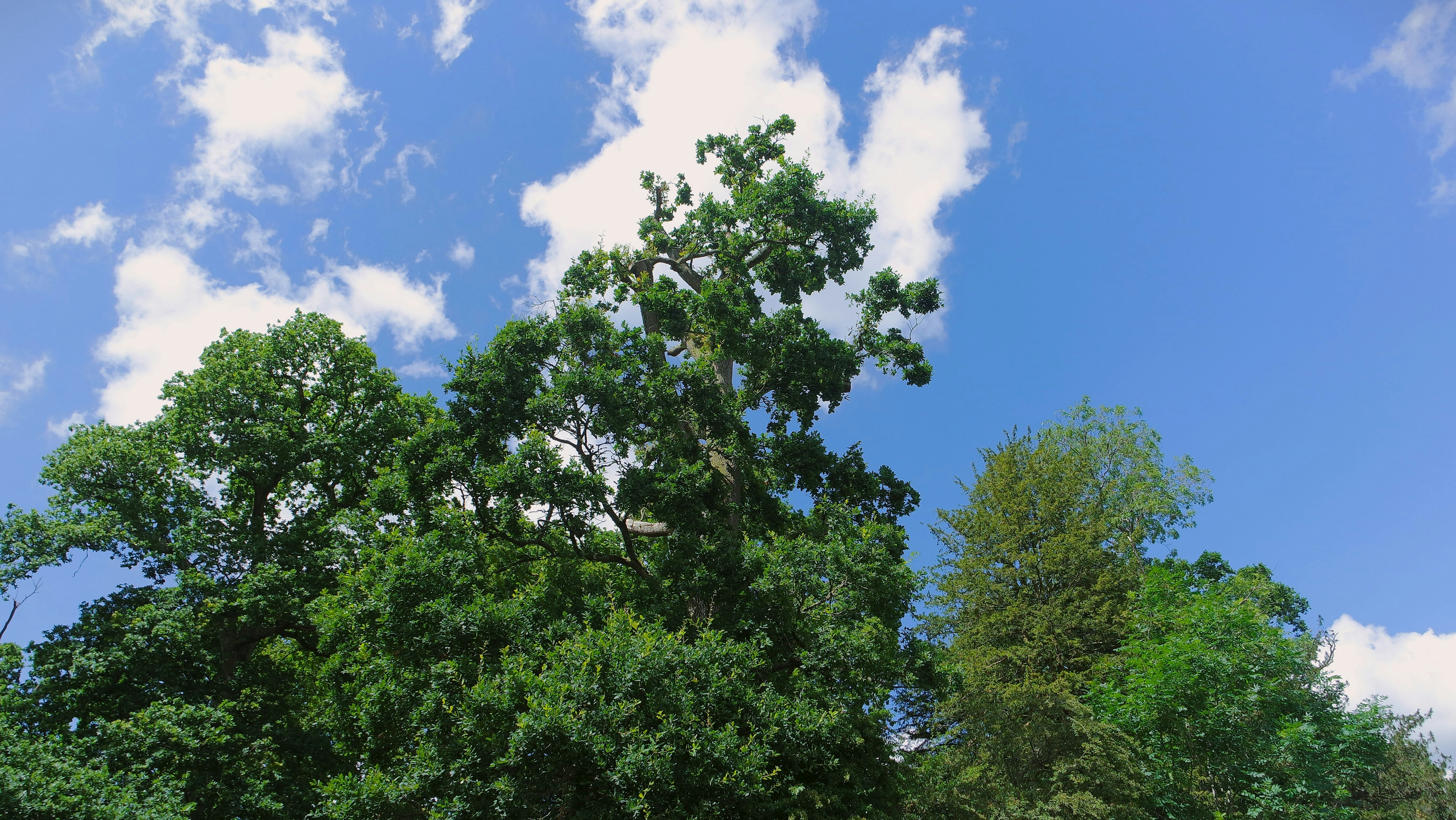 Photo by Amy W. with Samsung NX3000