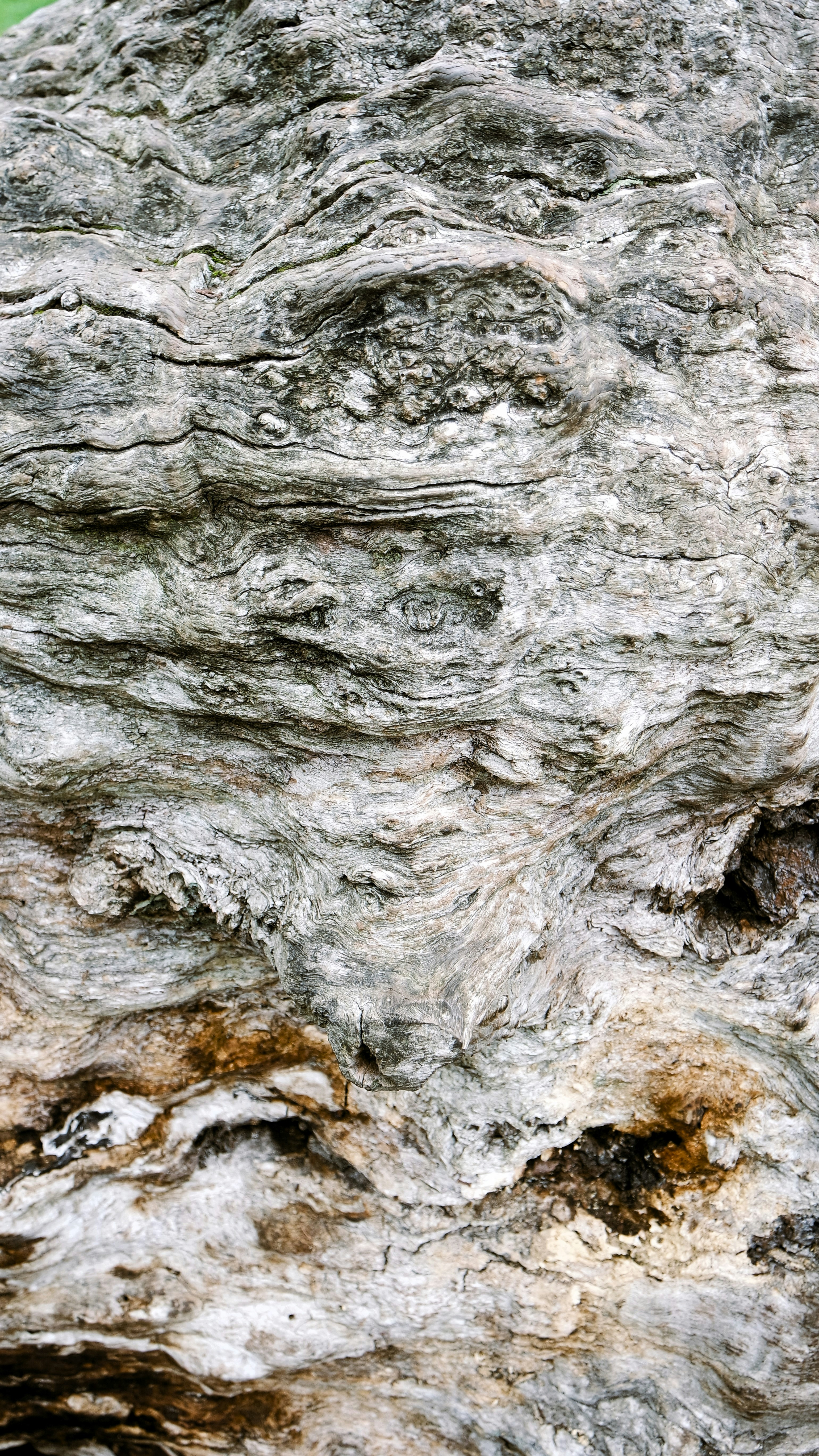Close-up of weathered wood texture.