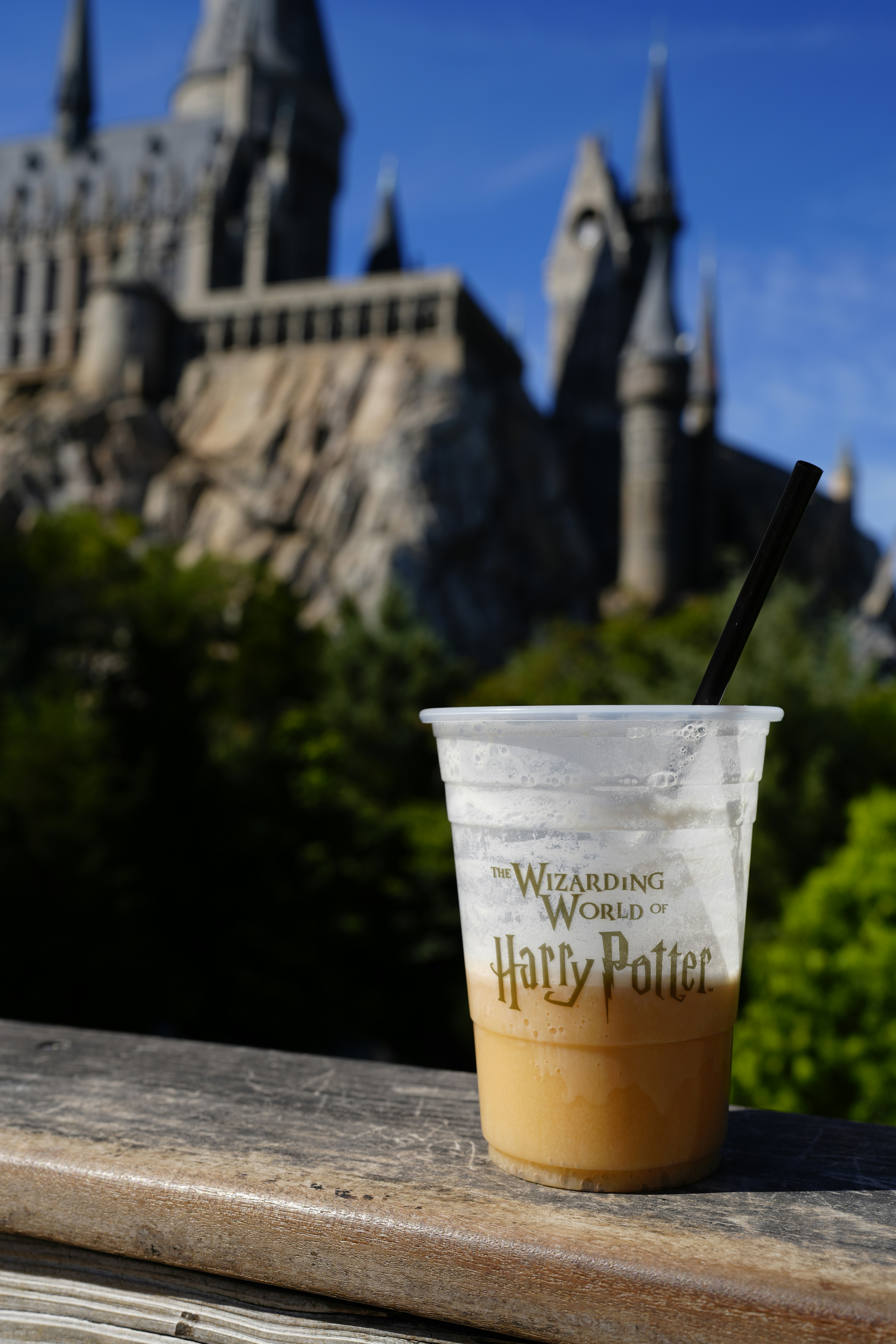A Taste of Magic Amidst Castle Shadows