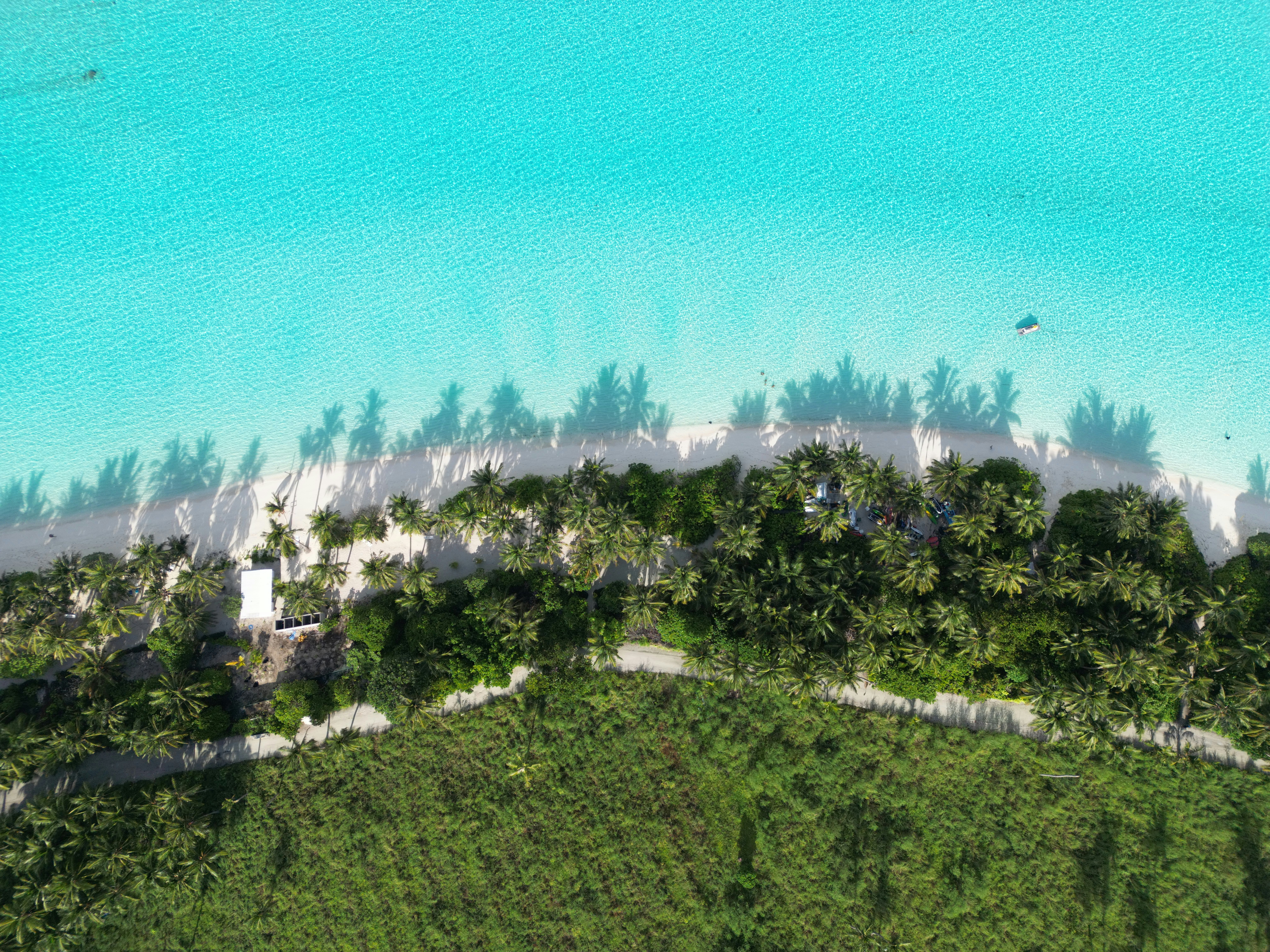 Aerial view showcasing a pristine beach with vibrant turquoise waters and lush palm trees lining the shore.