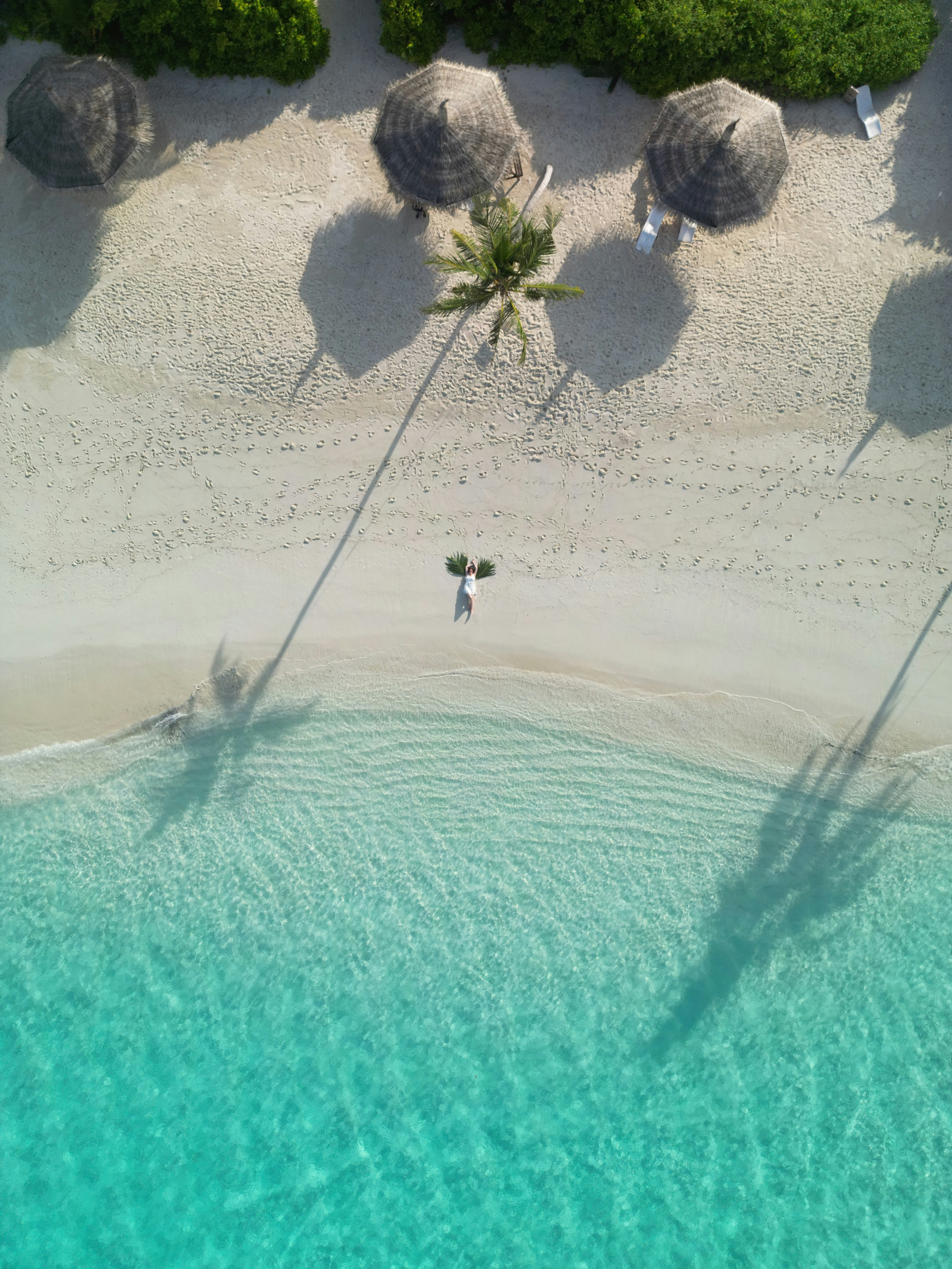 Secluded Serenity: A Tropical Retreat