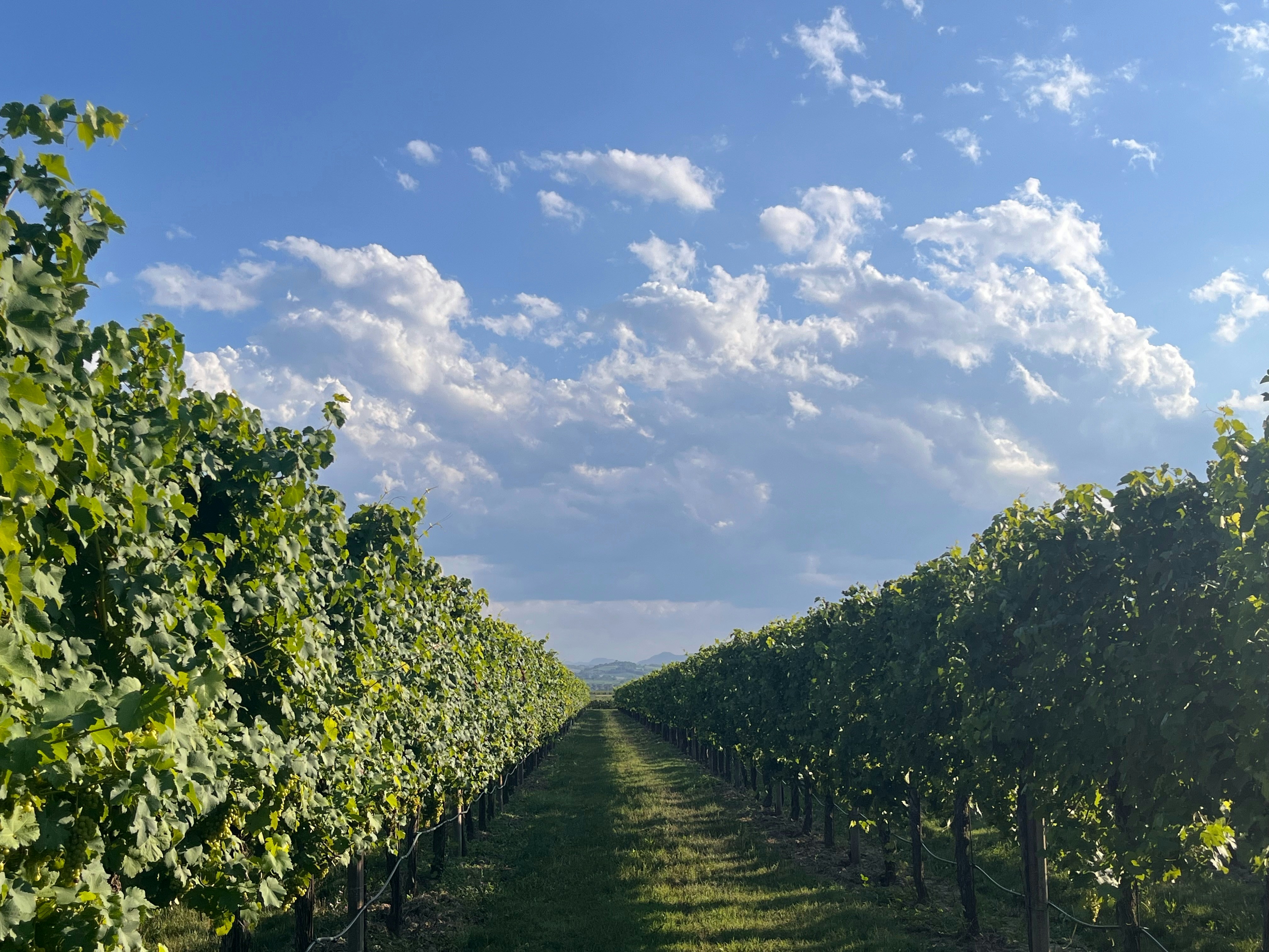 Luca Basili (@lucabasili) | Komunitas Foto Unsplash