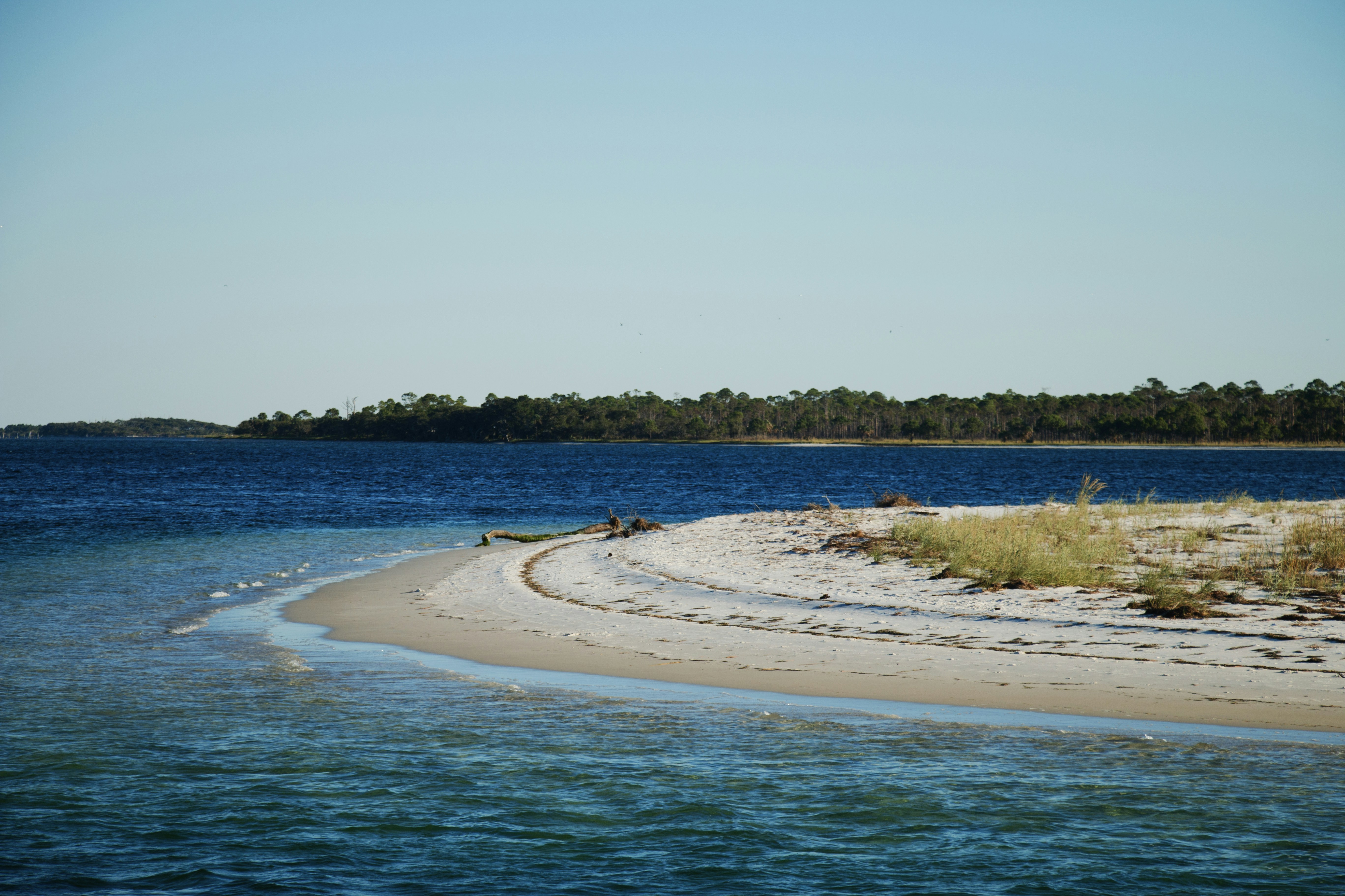 Florida, water, beach, sand, coast, trees, daytime | A beautiful sandy beach meets the blue ocean.