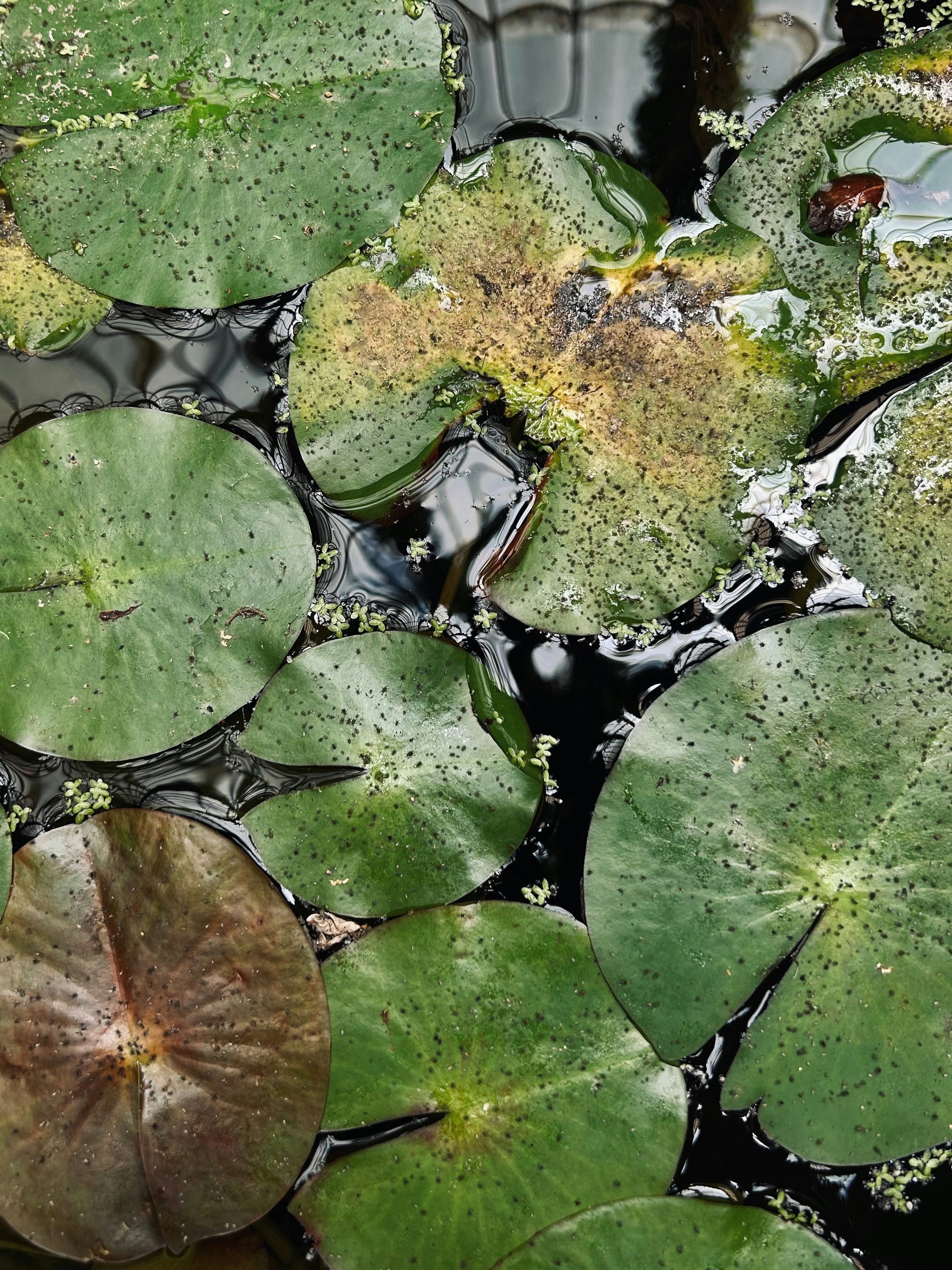 Valeria F (@valzzz) | Unsplash Photo Community