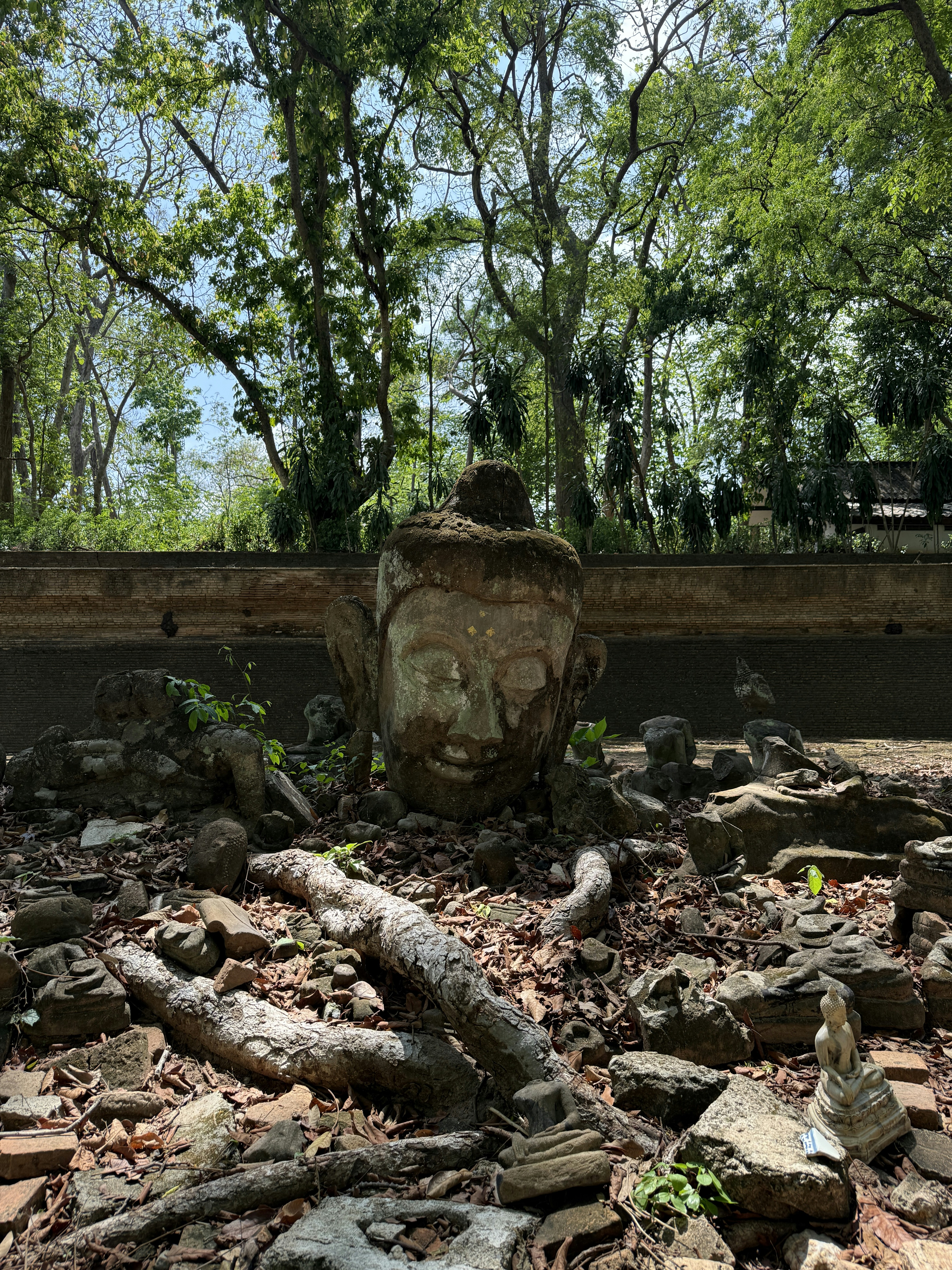 Whispers of the Ancient: A Stone Buddha's Solitude
