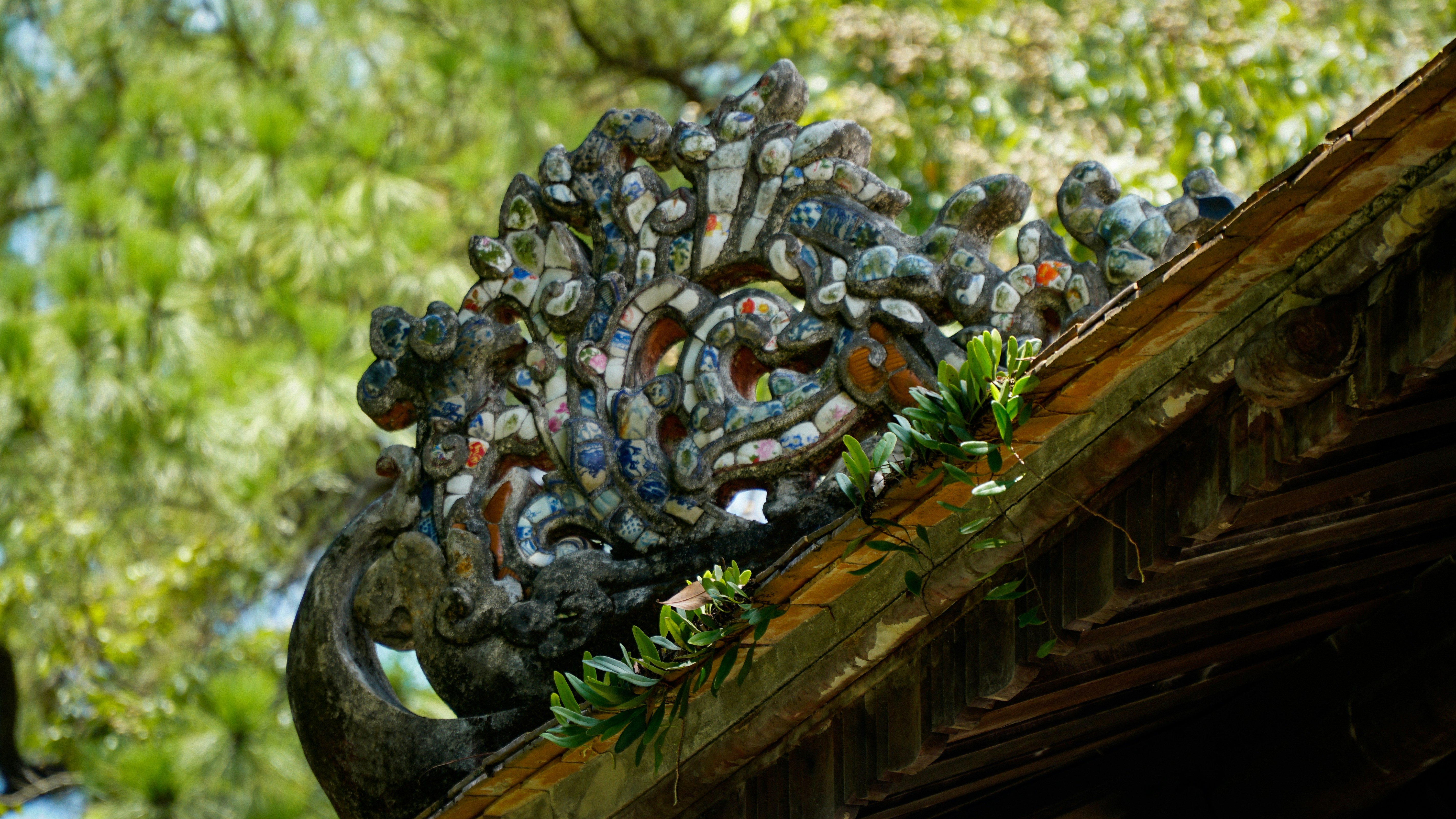Dragon Crest on a Sunlit Eave, Framed by Ferns