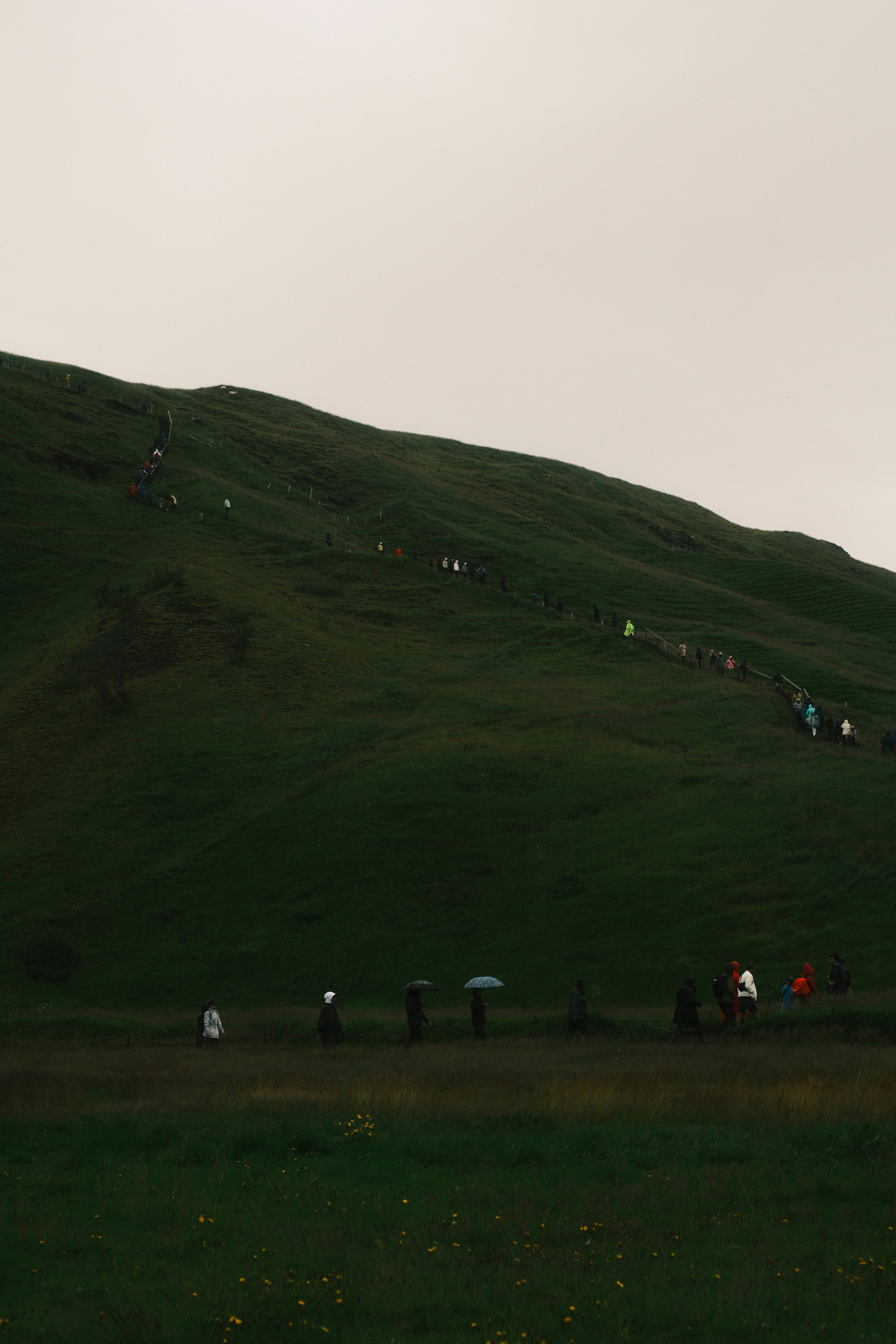 Ascent Through the Misty Hills