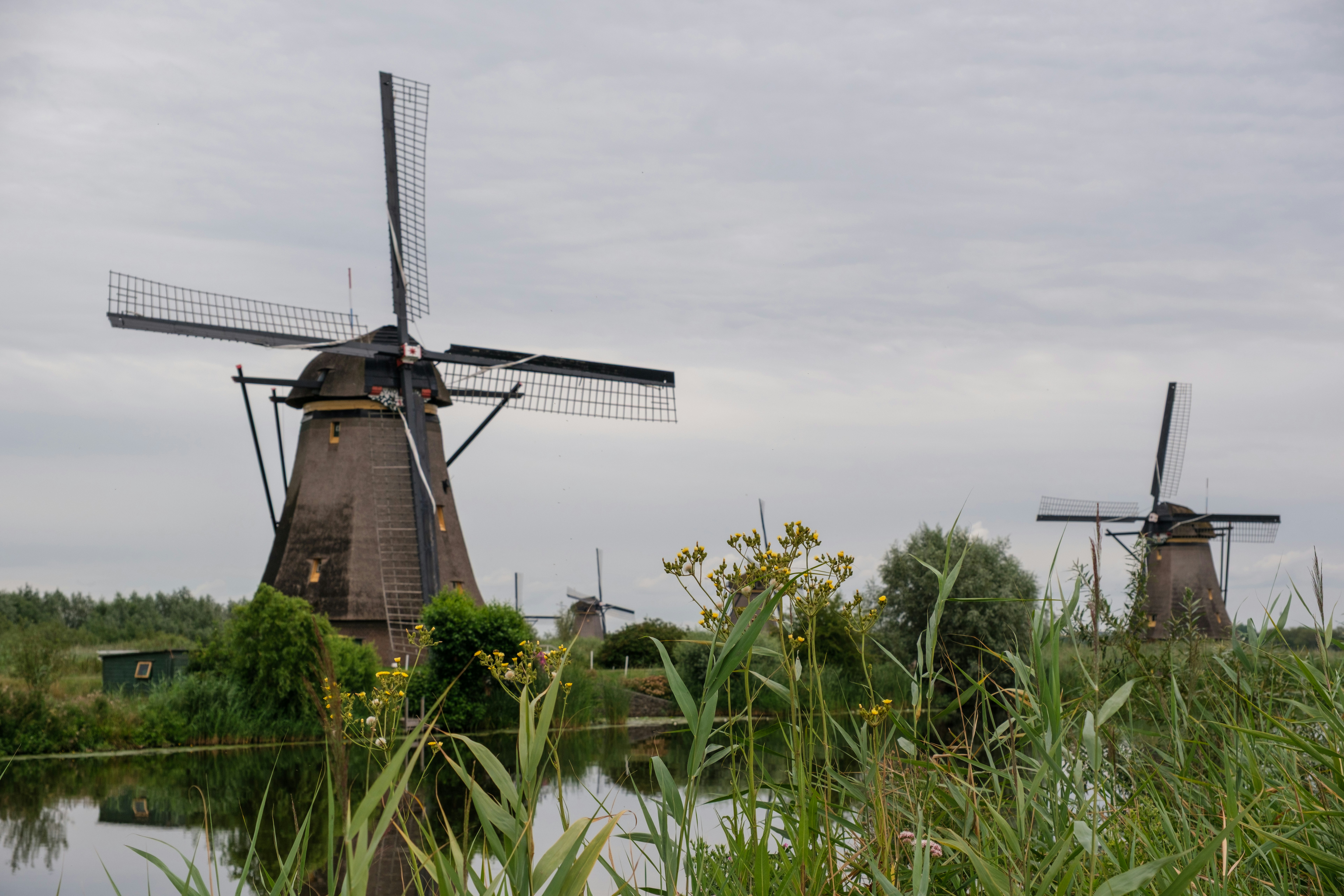 Whispers of the Wind: Dutch Heritage in Motion