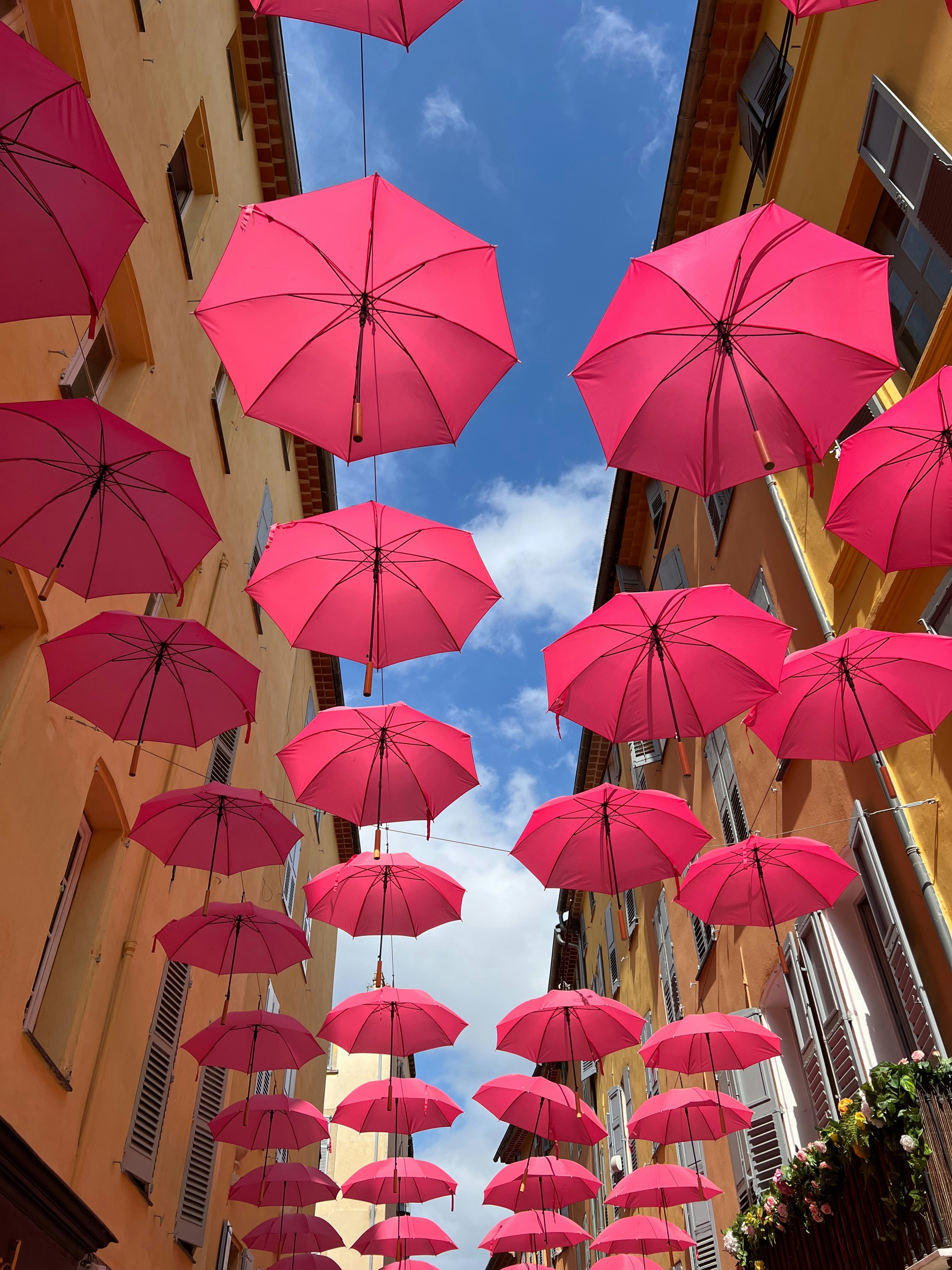 Pink umbrellas decorate a street against a blue sky.