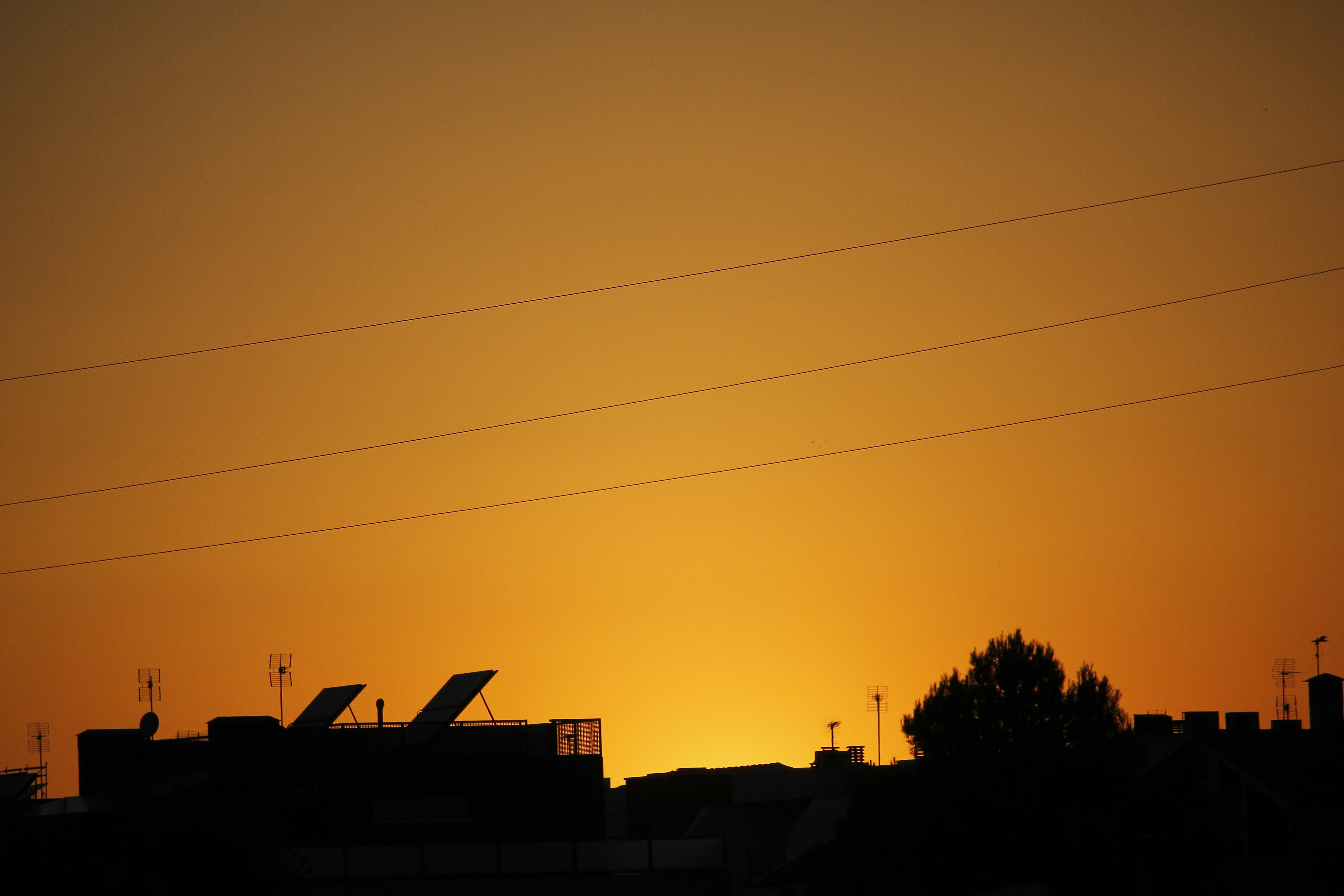 Silhouette Symphony at Dusk