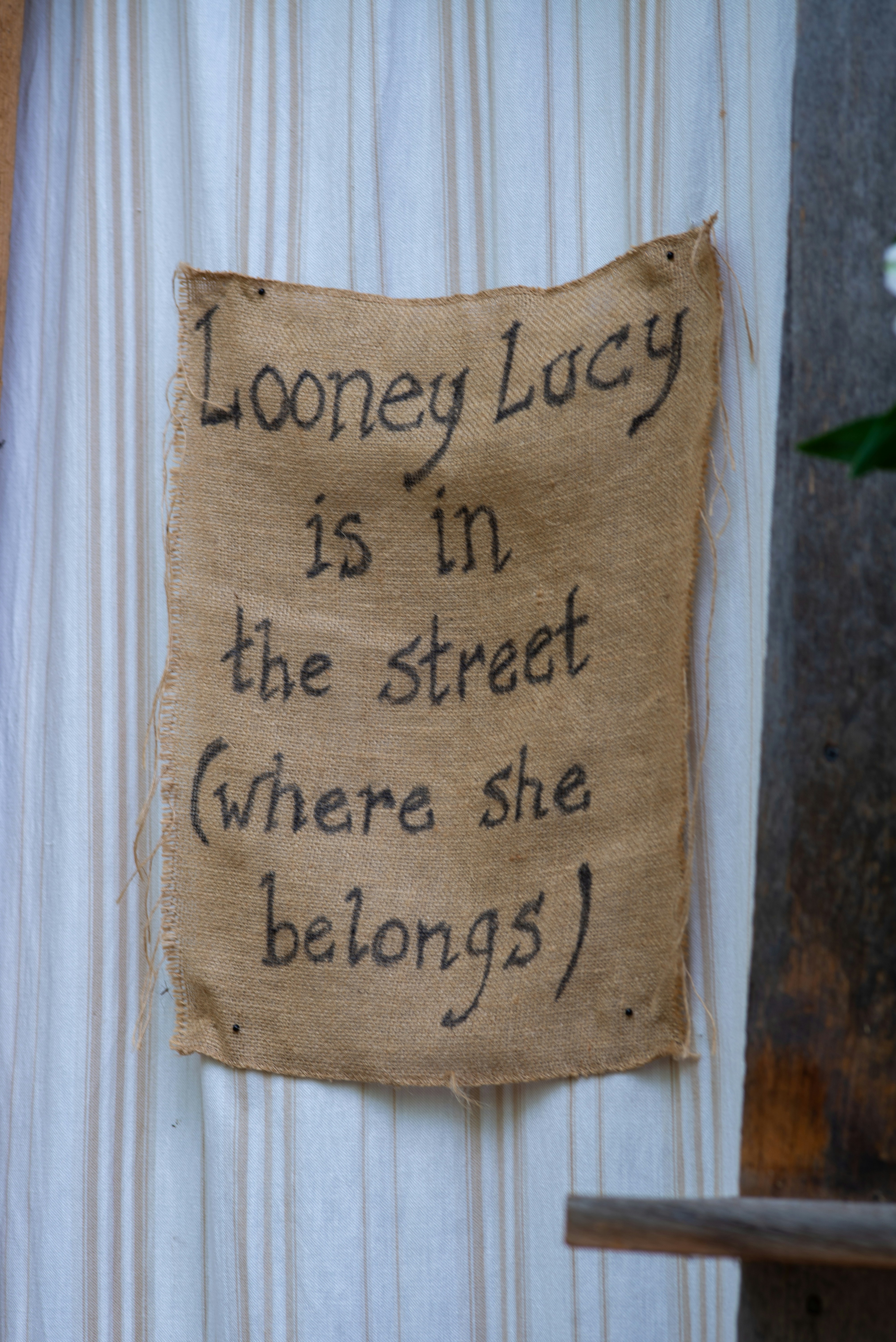 The Whimsical Warning of Looney Lucy