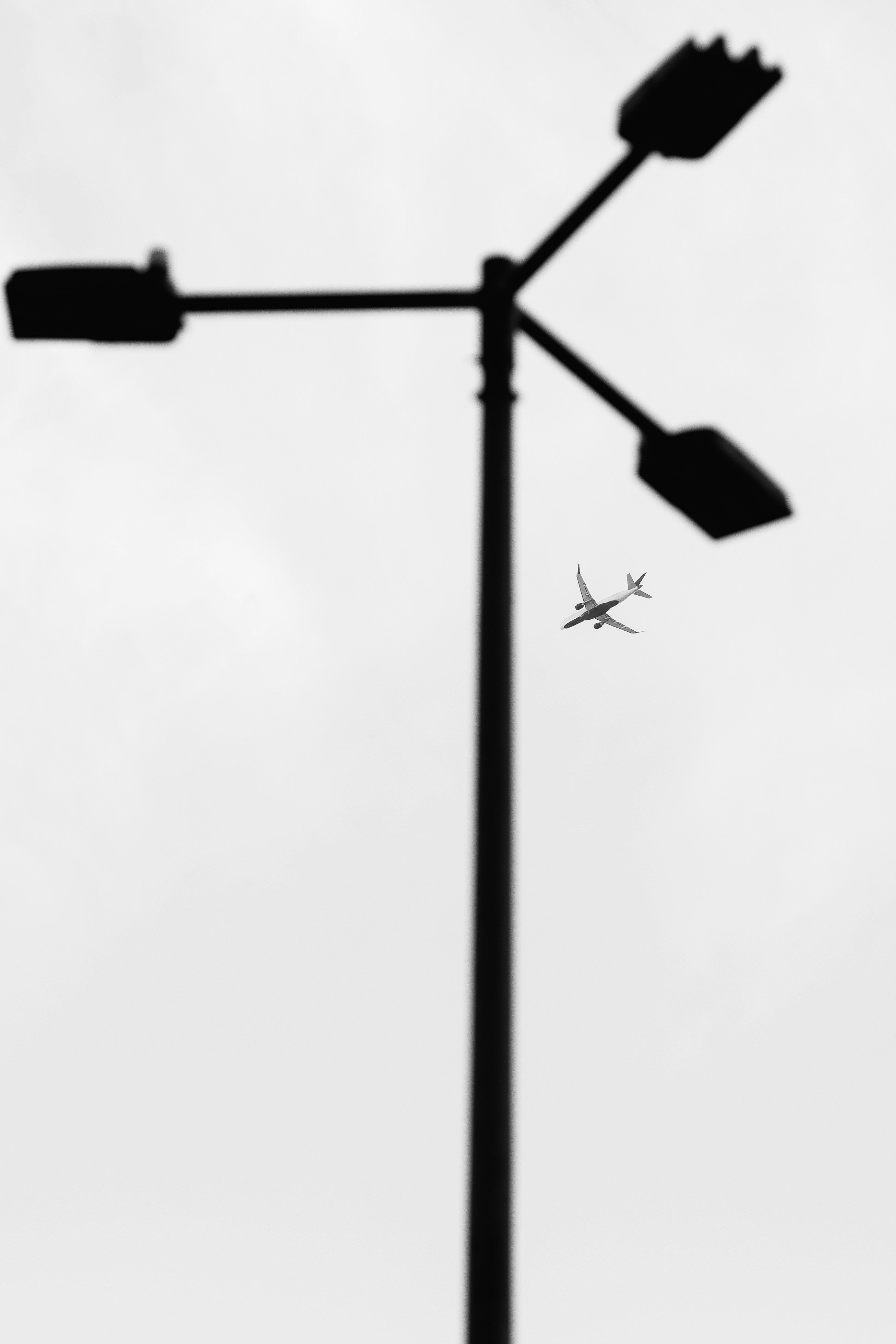 Soaring Above the Urban Canopy