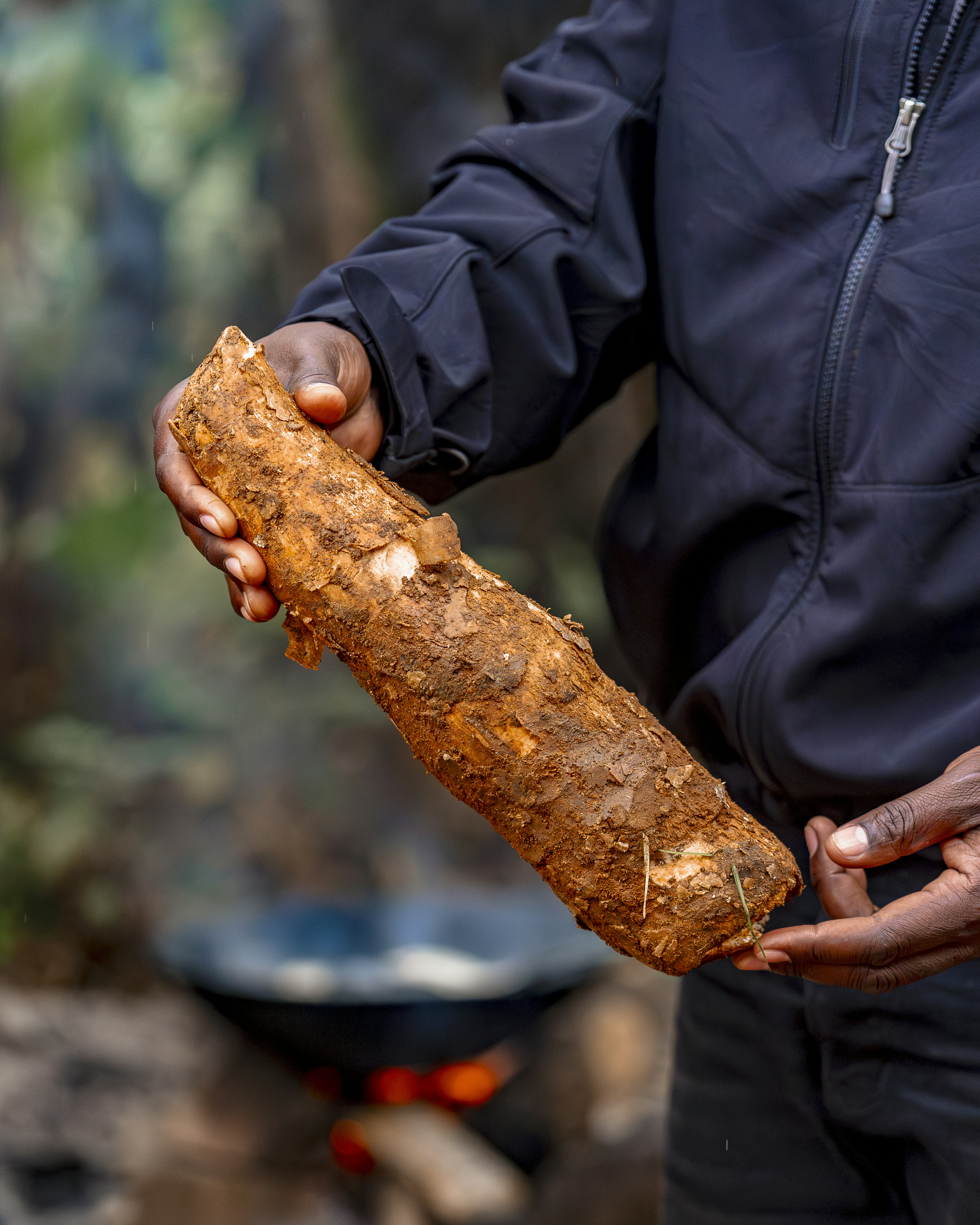 Individual holding a piece of firewood with a cooking pot in the background, illustrating traditional methods of gathering fuel in a natural setting.
