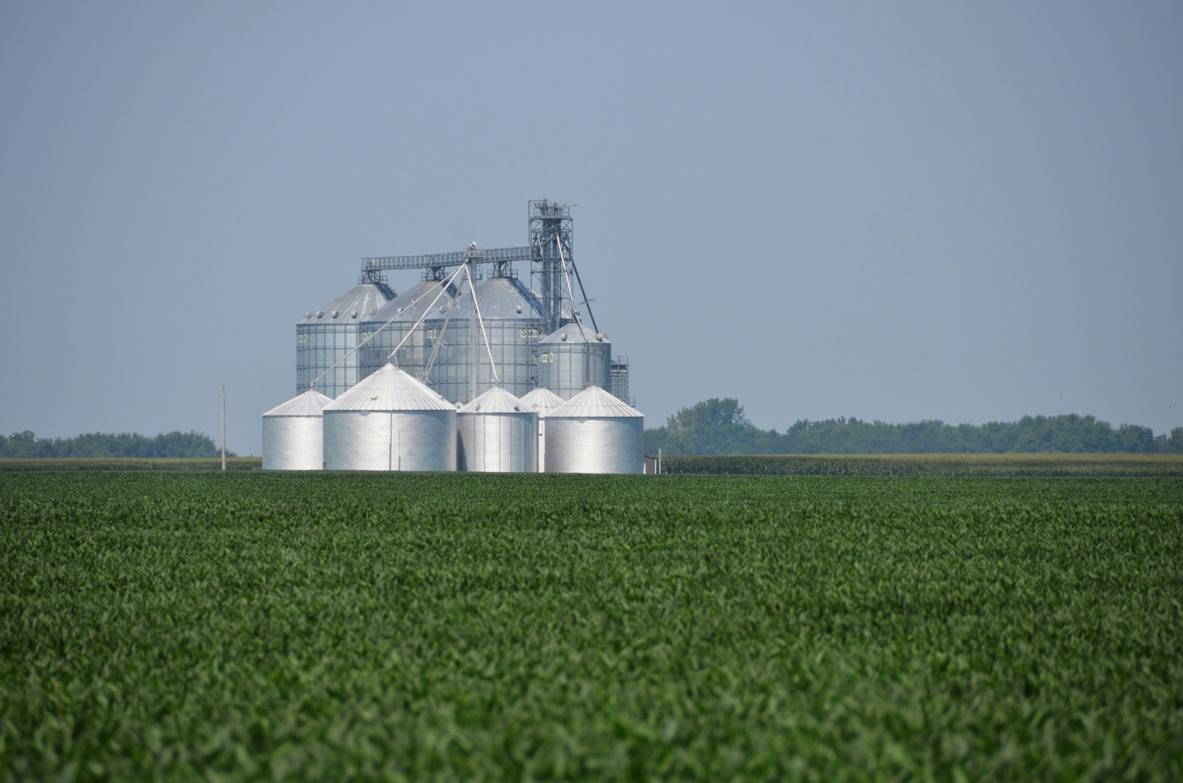Harvesting Potential: The Silent Guardians of Agriculture