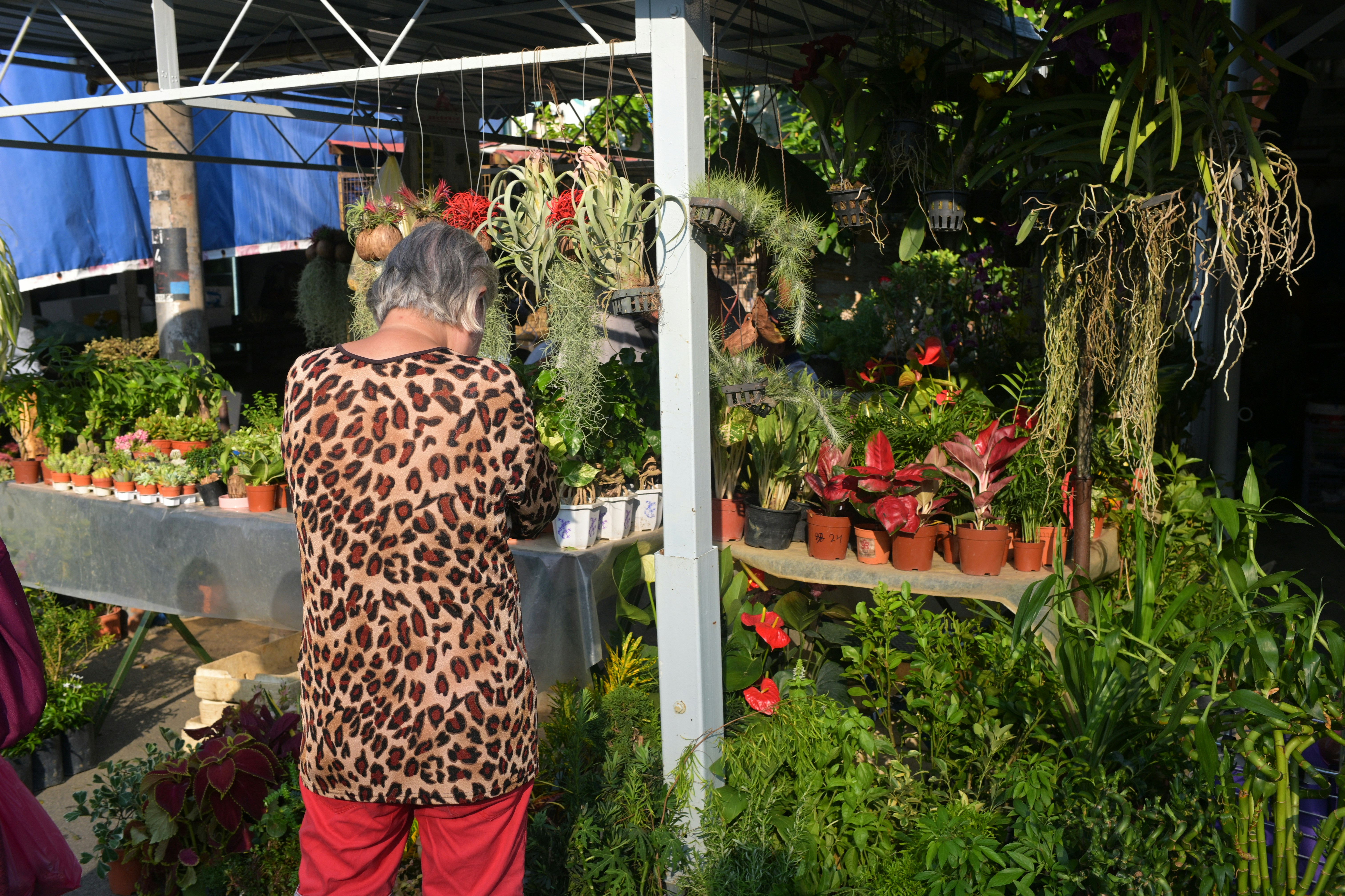 Whispers of Green: A Gardener's Retreat
