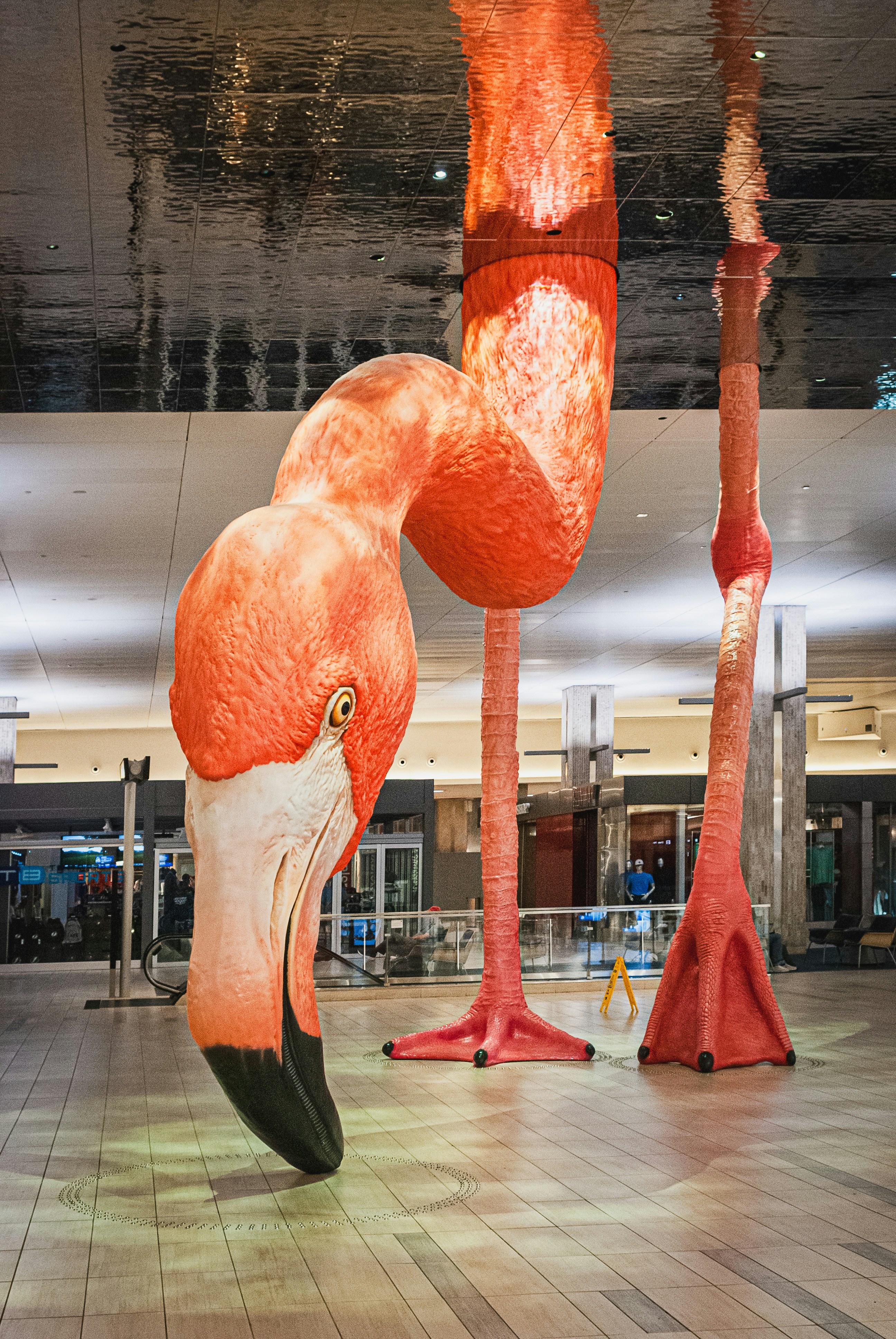 The giant flamingo statue in the Tampa airport. | A giant, hanging flamingo sculpture is on display.