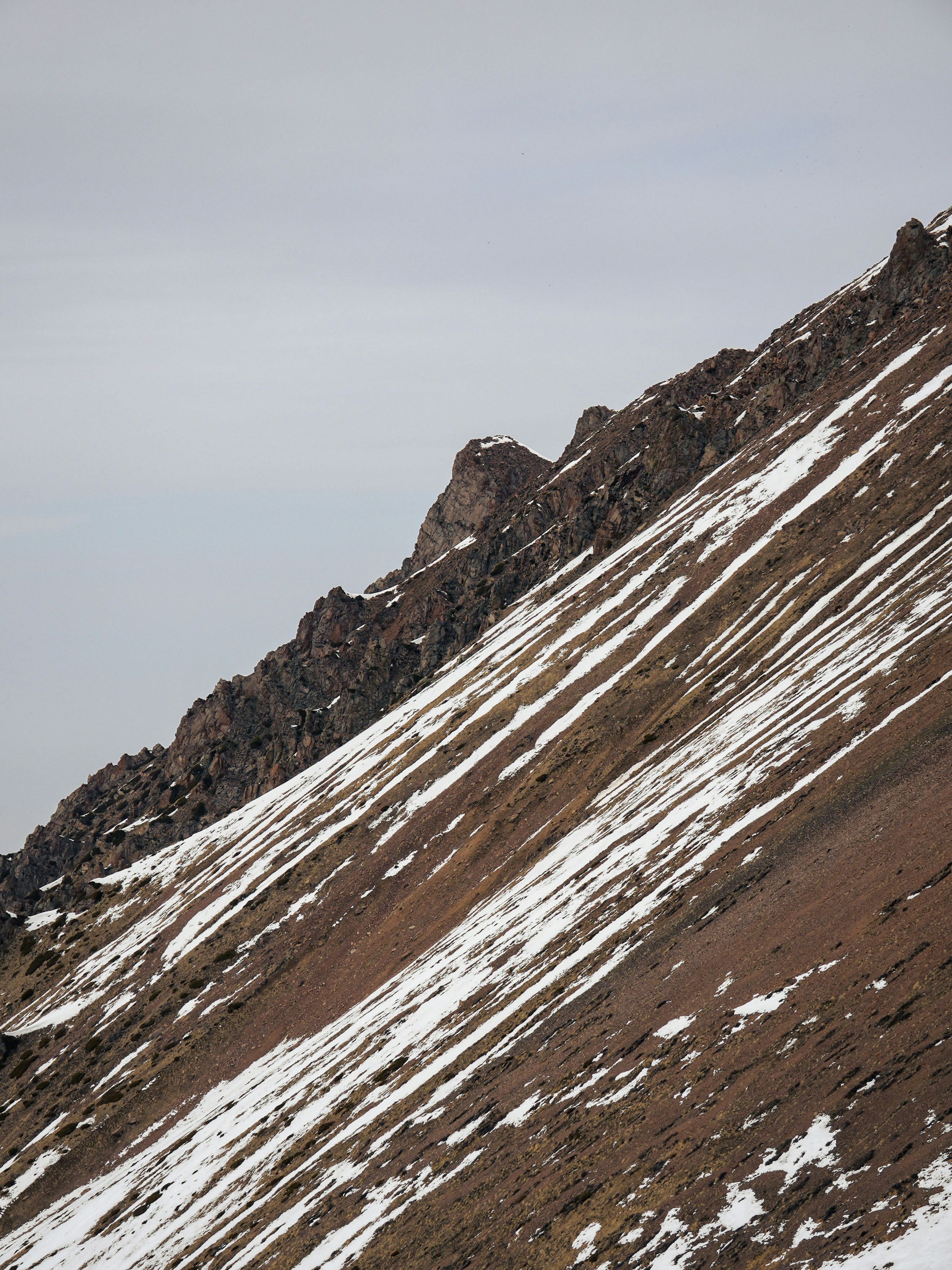A snowy mountain slopes across a gray sky.