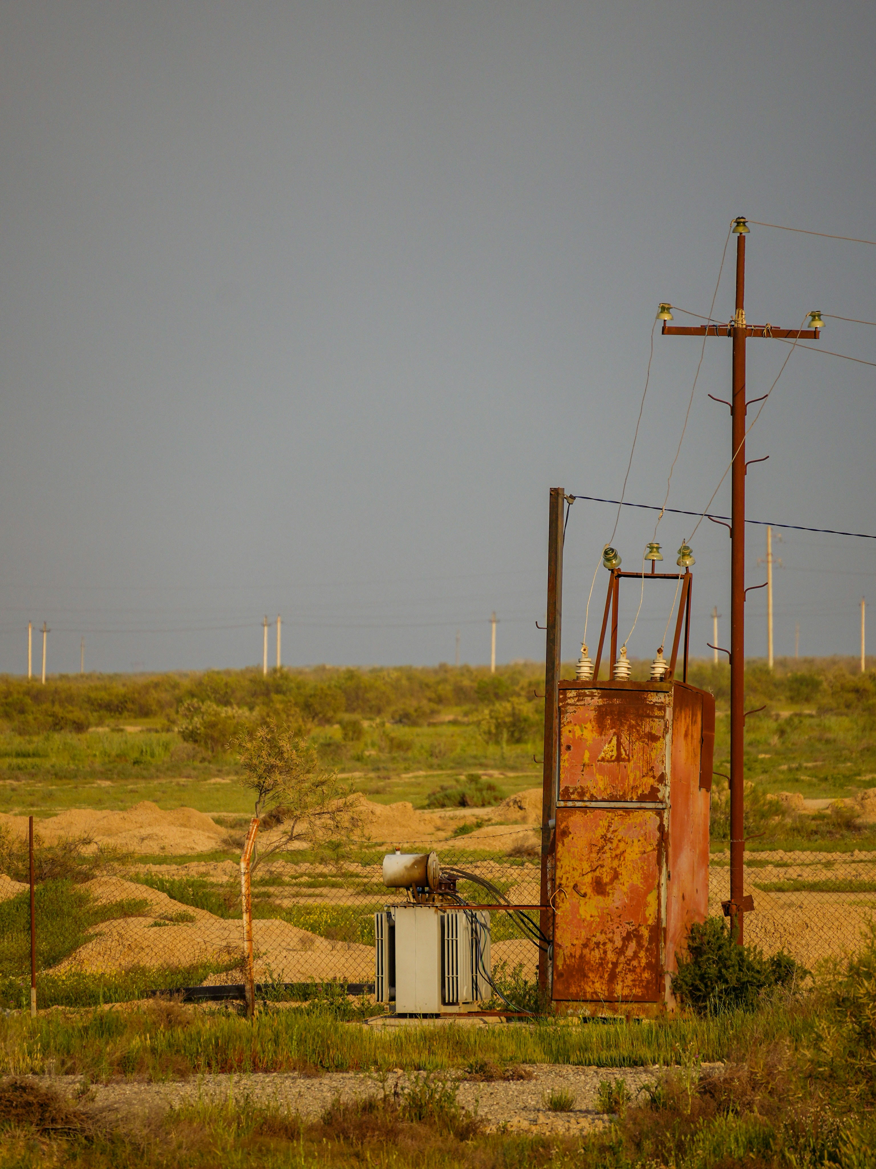 Desert Substation Rust: Wires, Windbreak, and Quiet Horizon