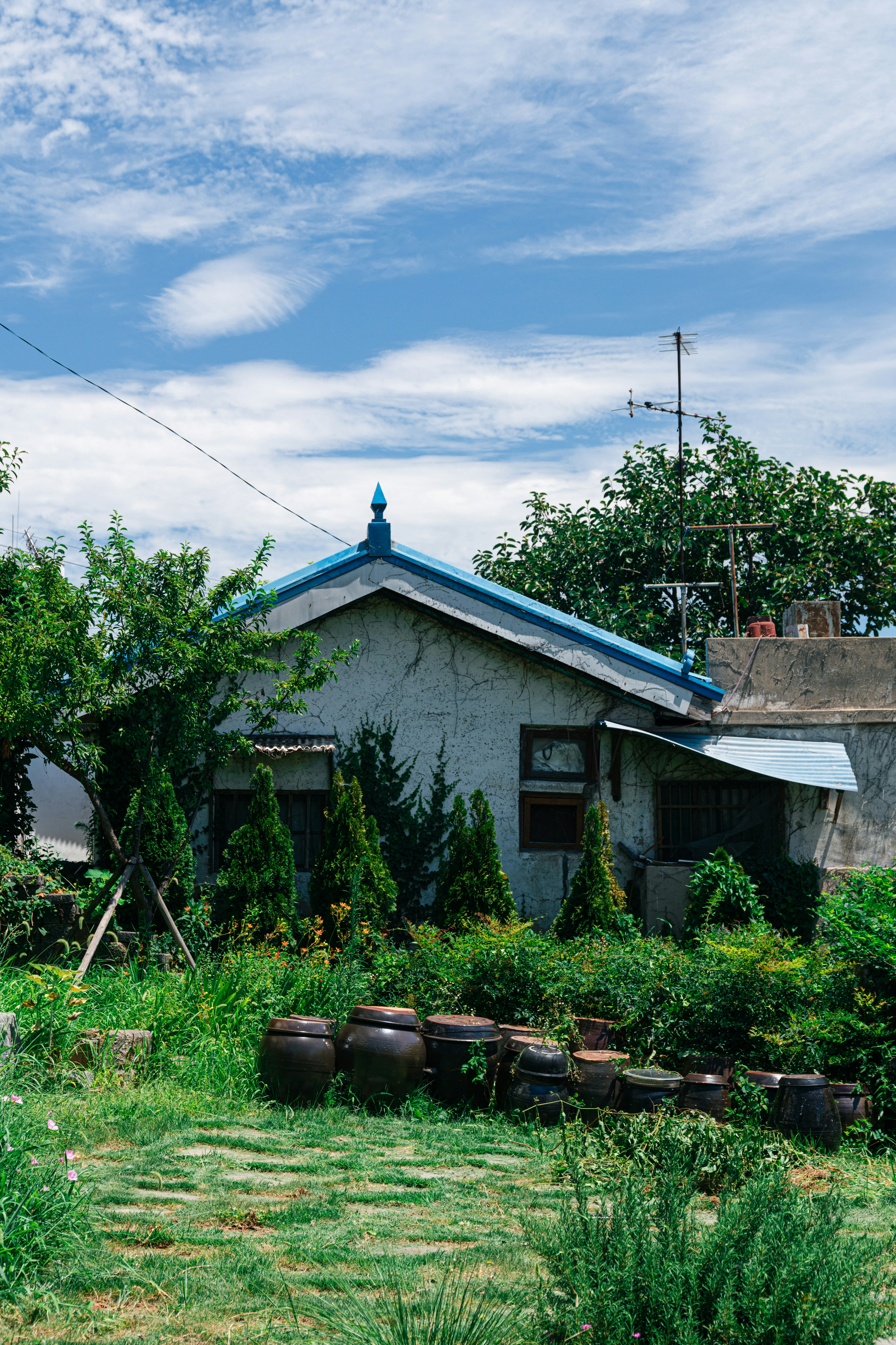 A small house surrounded by lush greenery.