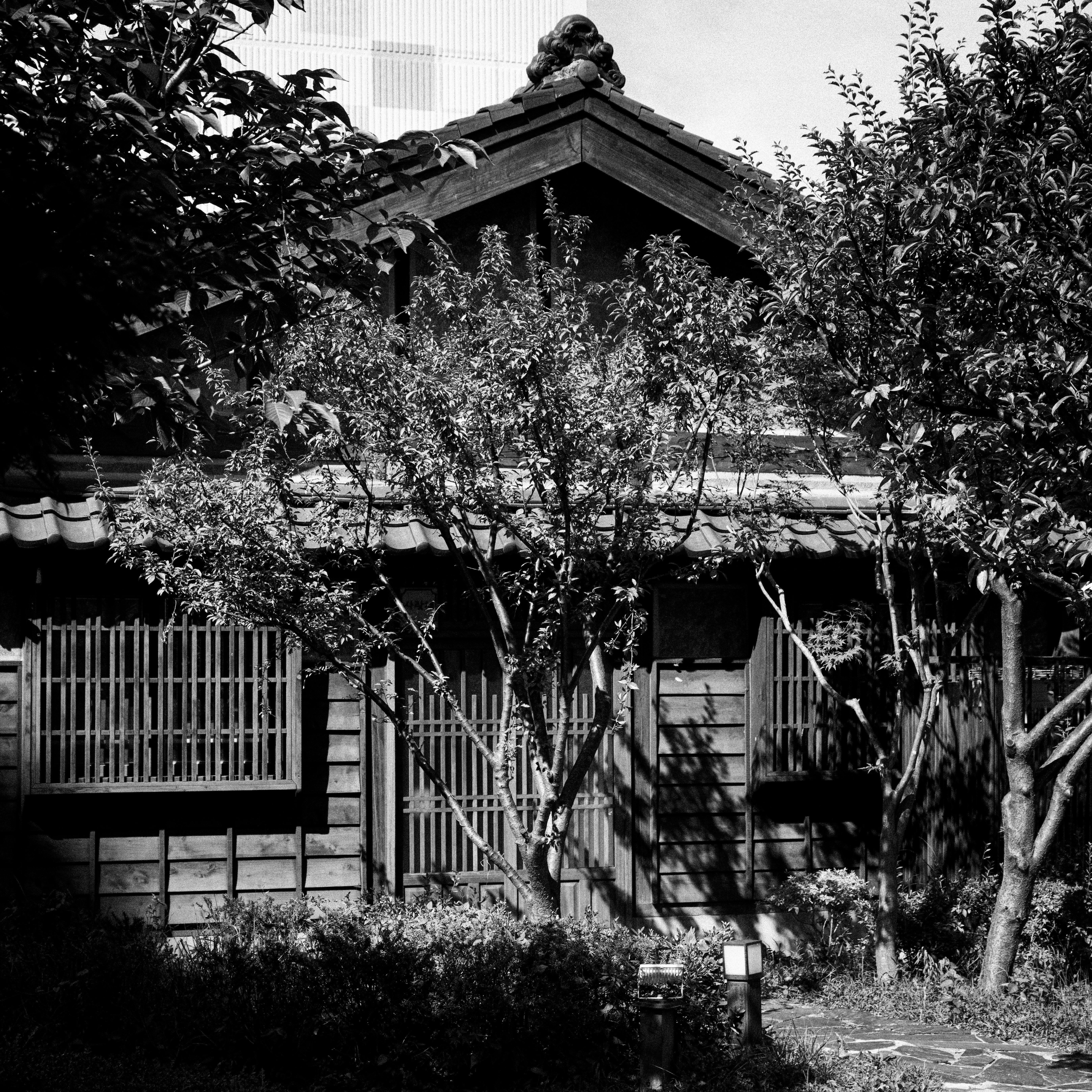 Traditional wooden house surrounded by lush greenery, showcasing intricate architectural details. The scene is captured in monochrome, emphasizing texture and contrast.