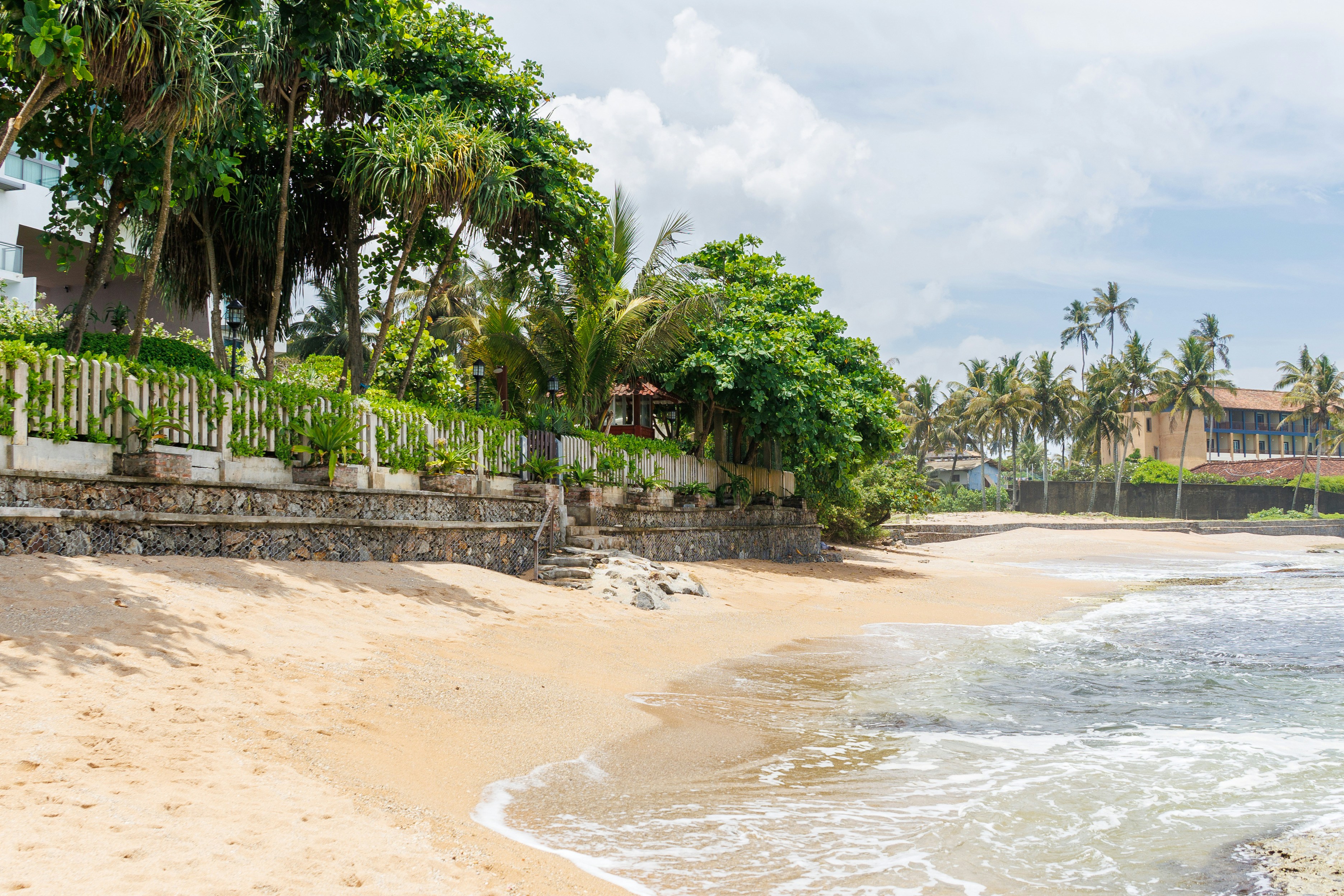 A beautiful beach scene with greenery and buildings.