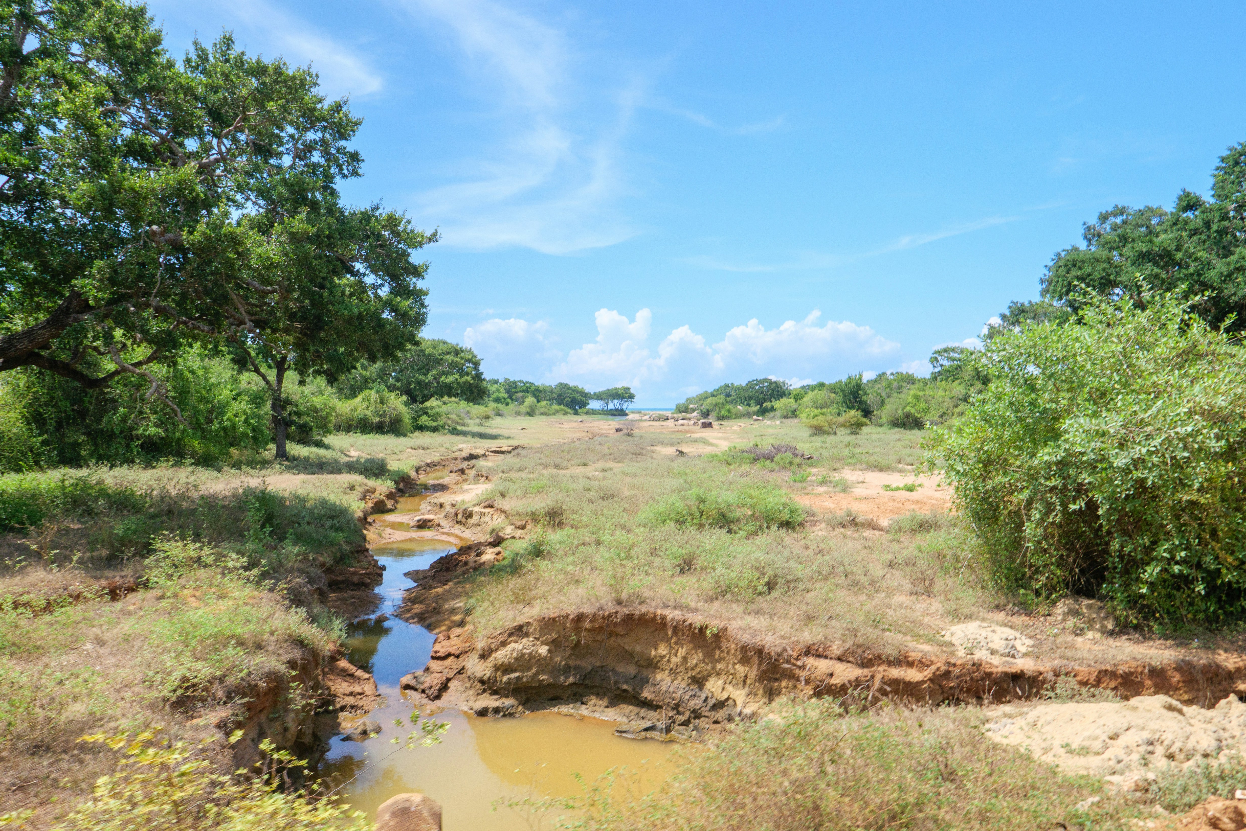 A dry creek flows through a sunny landscape.
